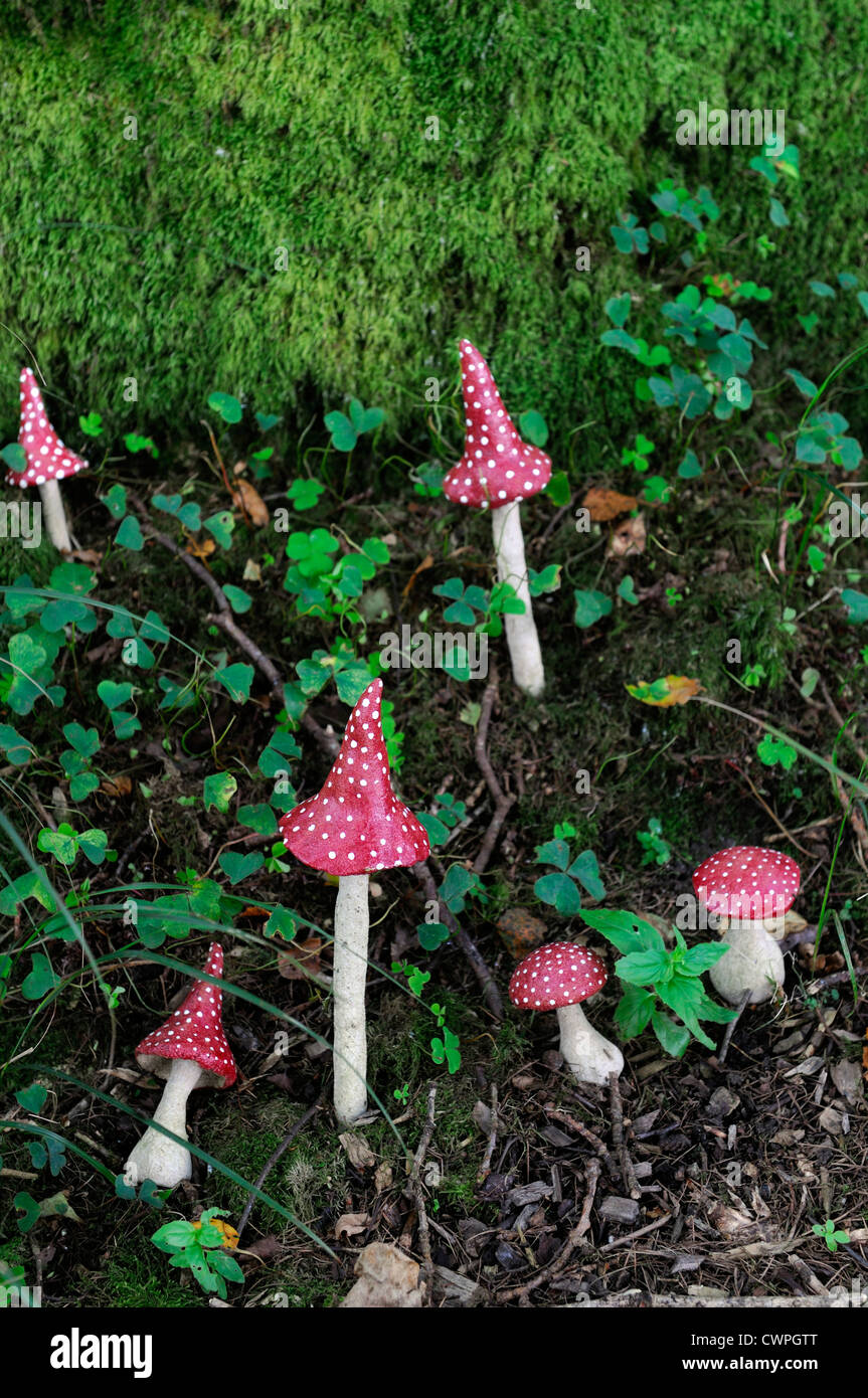 White toadstools hi-res stock photography and images - Alamy