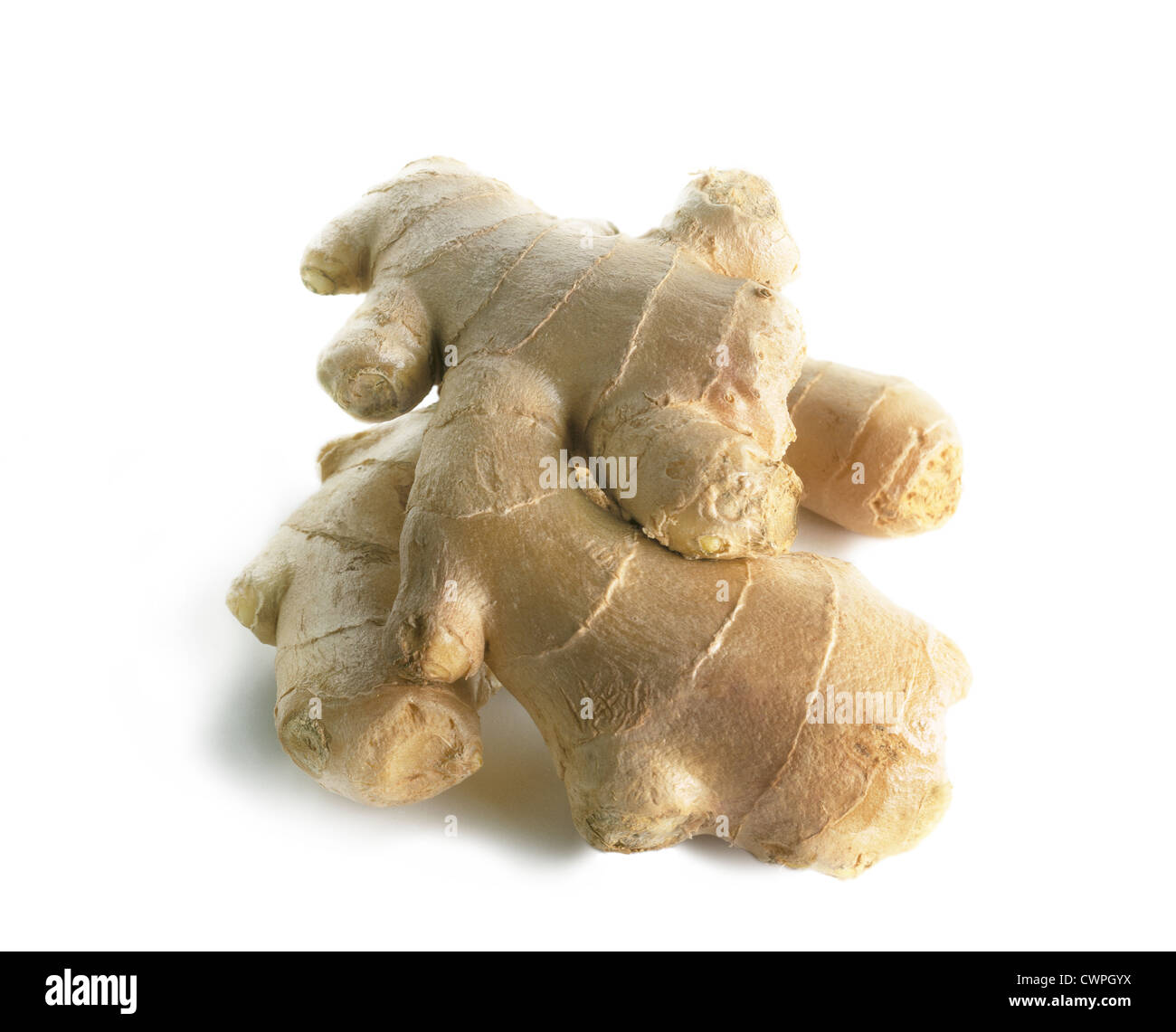 Zingiber officinale, Ginger Stock Photo - Alamy