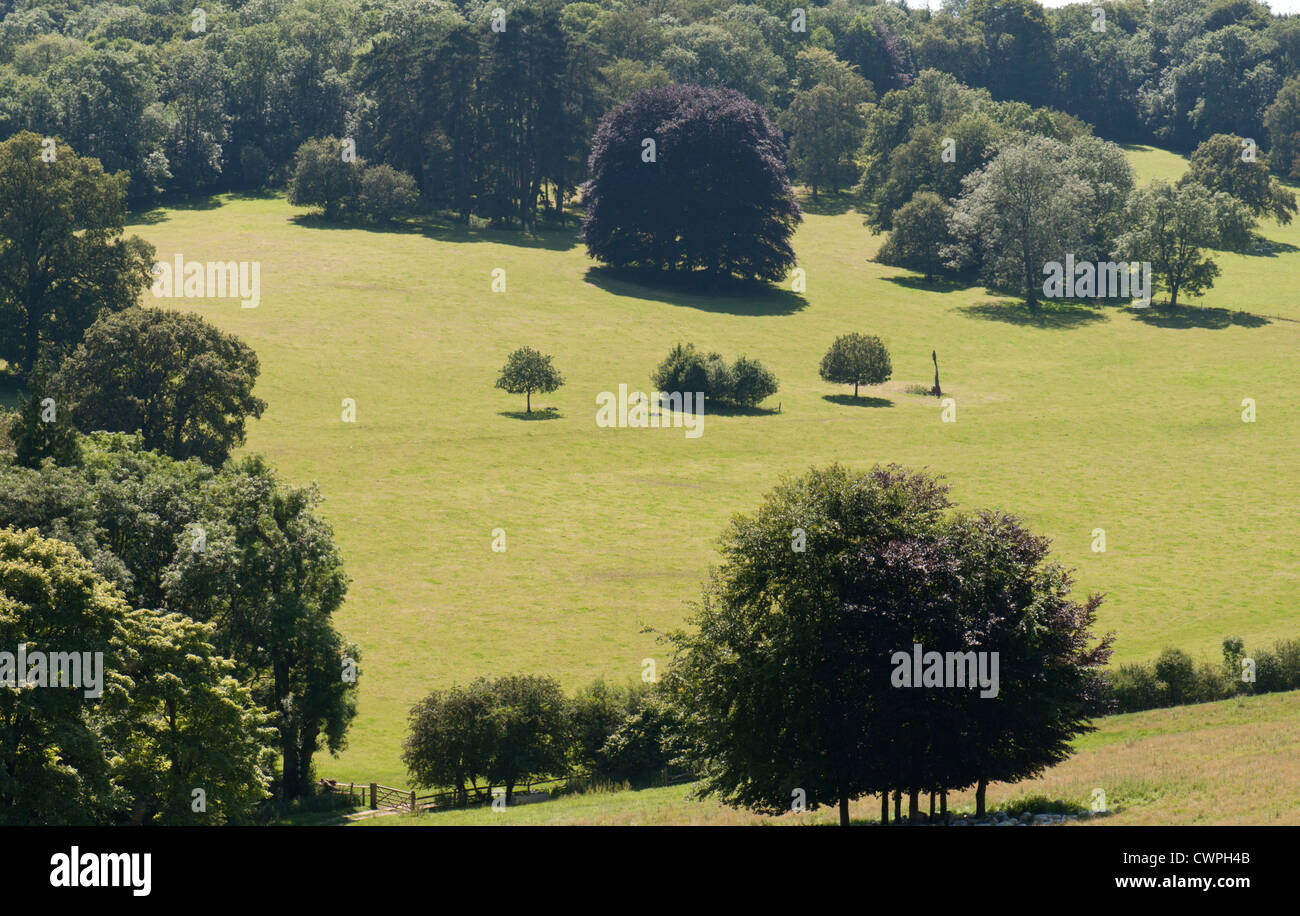 Downland habitat hi-res stock photography and images - Alamy