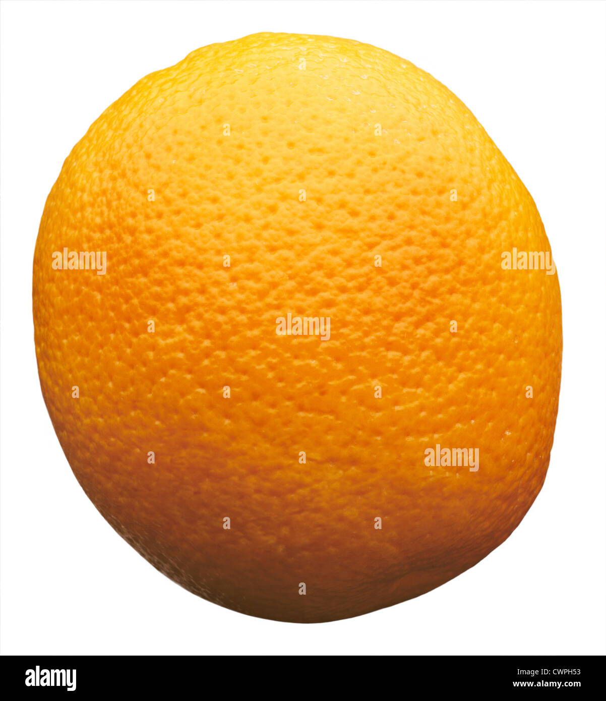 Citrus sinensis, Orange Stock Photo - Alamy