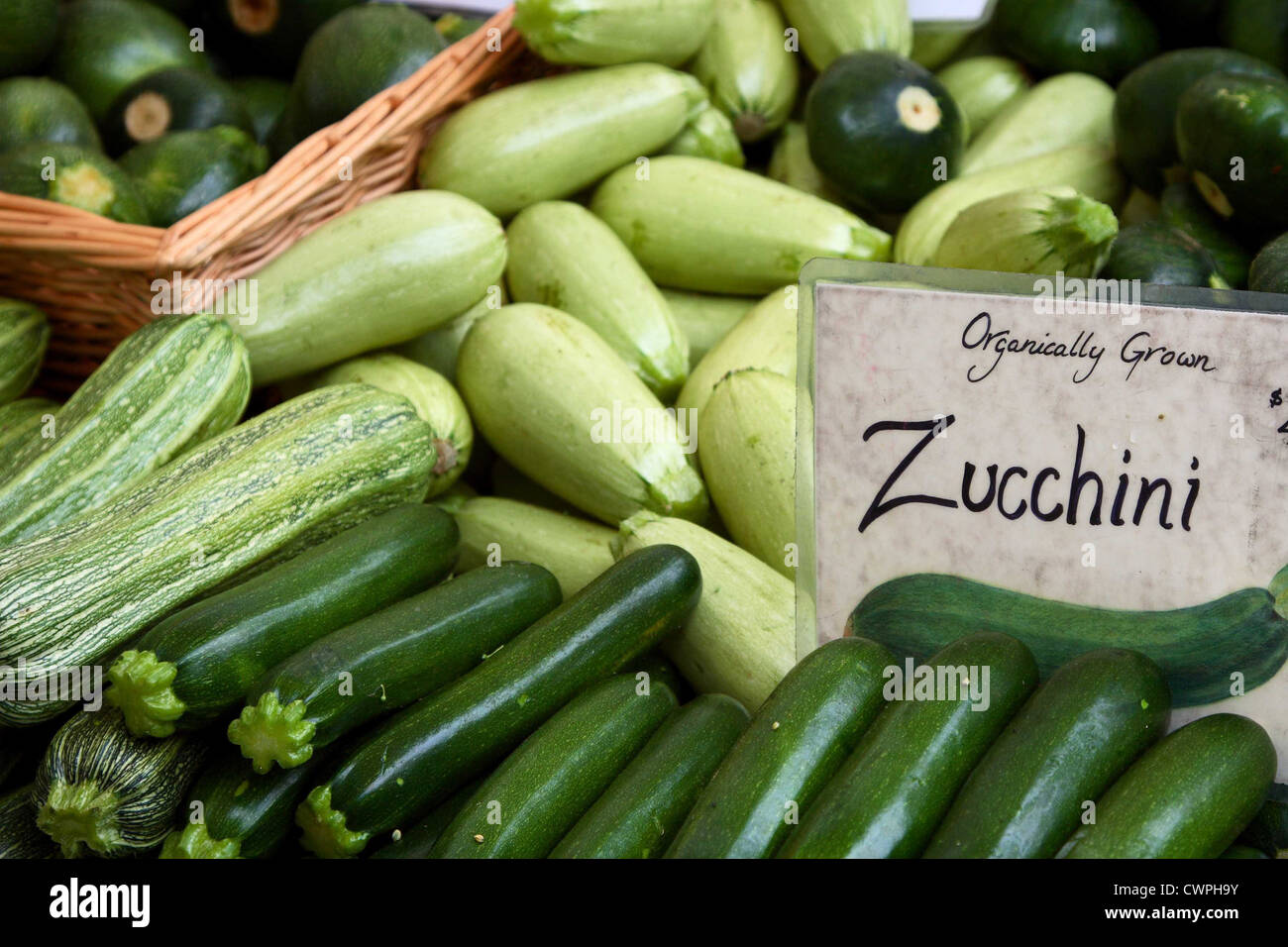 A display of Zucchini at the Farmers Market Stock Photo - Alamy