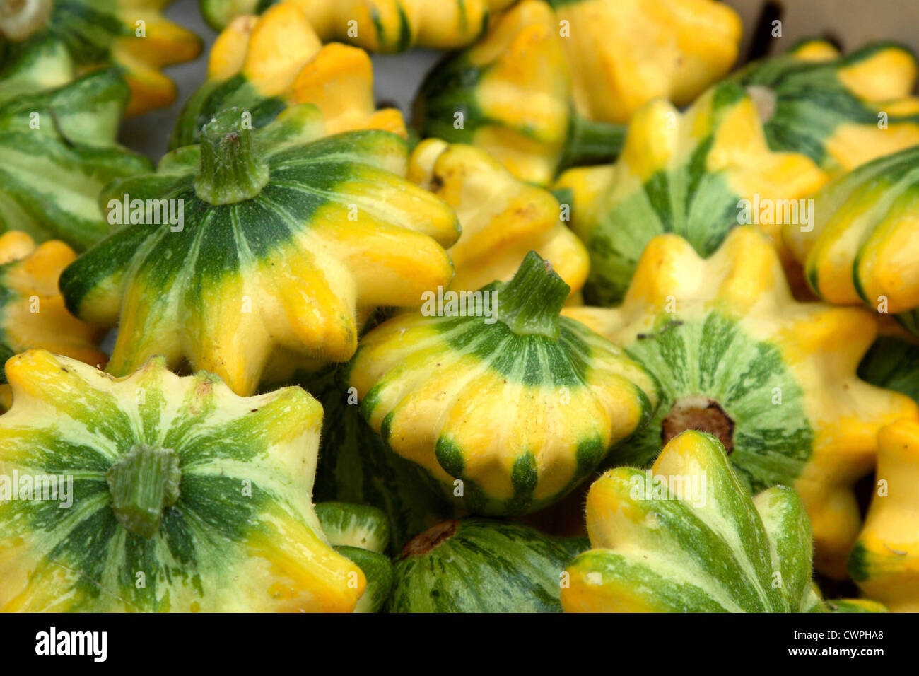 Flying saucer squash hi-res stock photography and images - Alamy