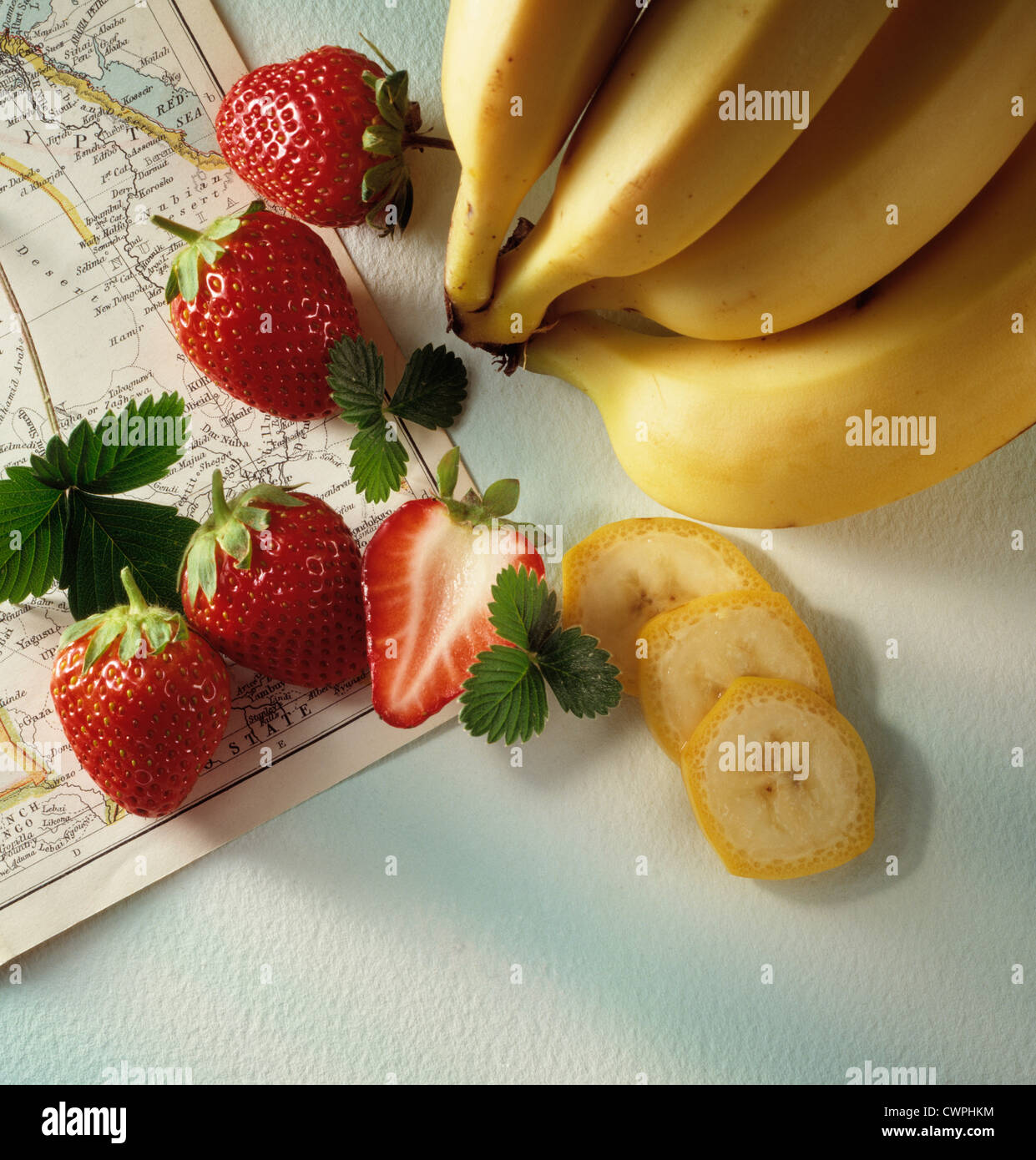 Superfood for birds hi-res stock photography and images - Alamy