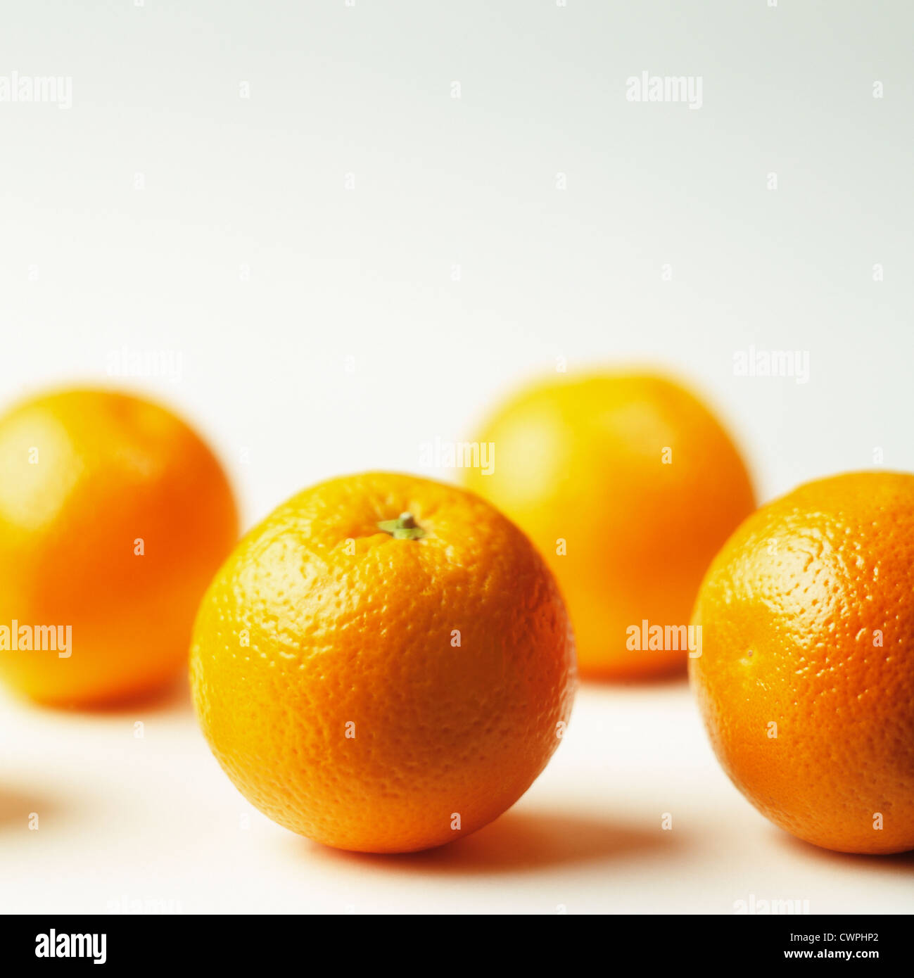 Citrus sinensis, Orange Stock Photo - Alamy