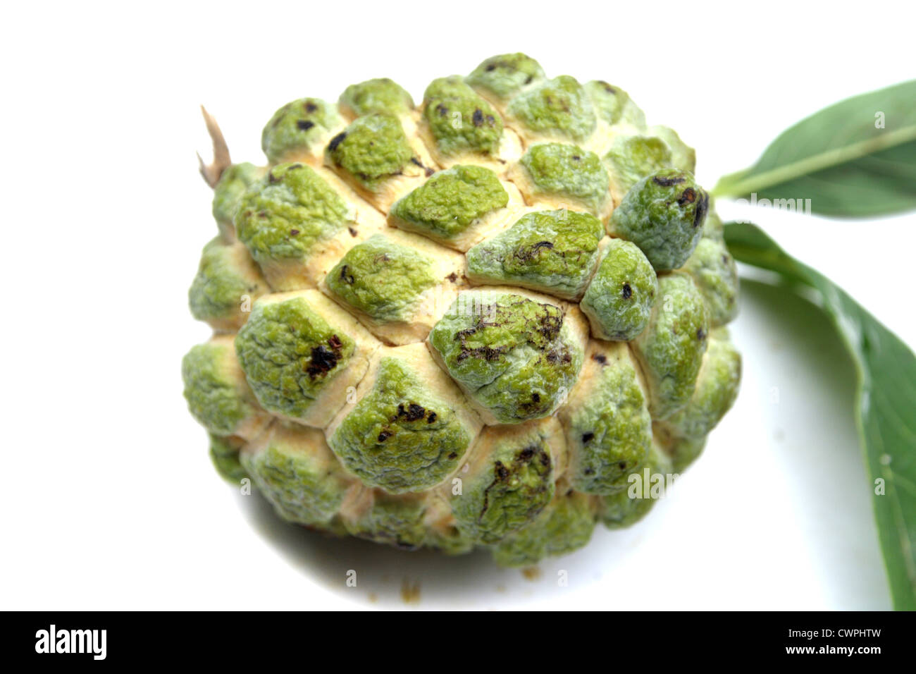 Sugar apple in white background Stock Photo - Alamy