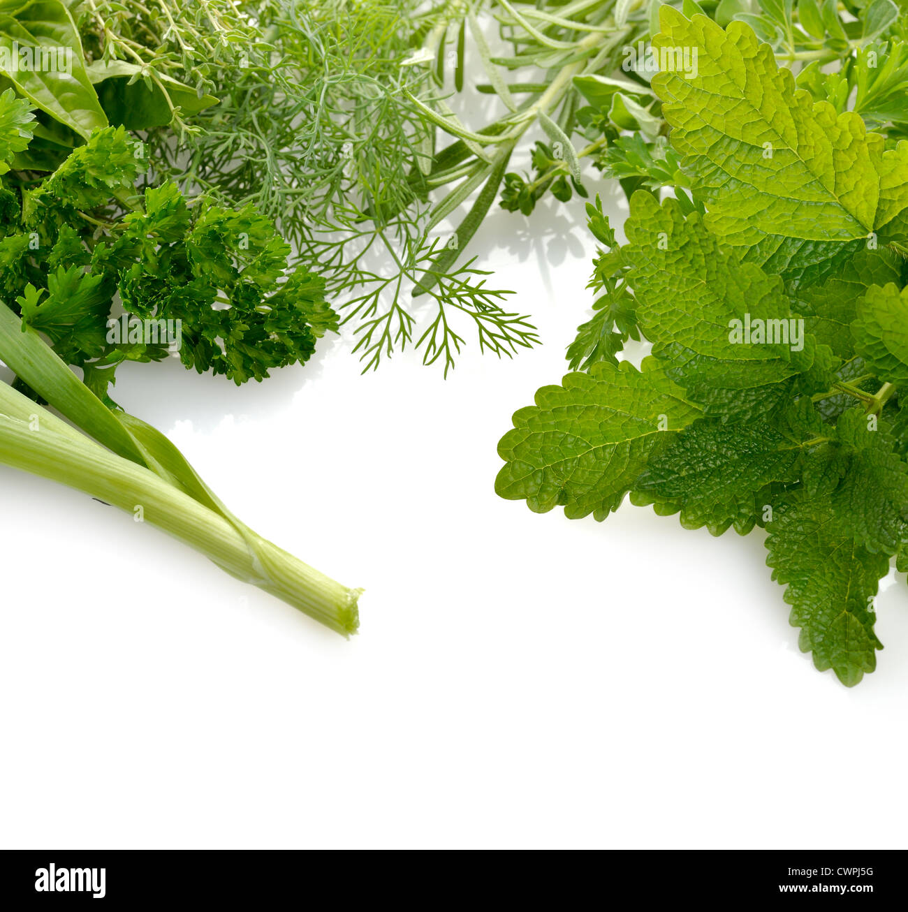 Fresh Herbs Assortment On white Background Stock Photo - Alamy