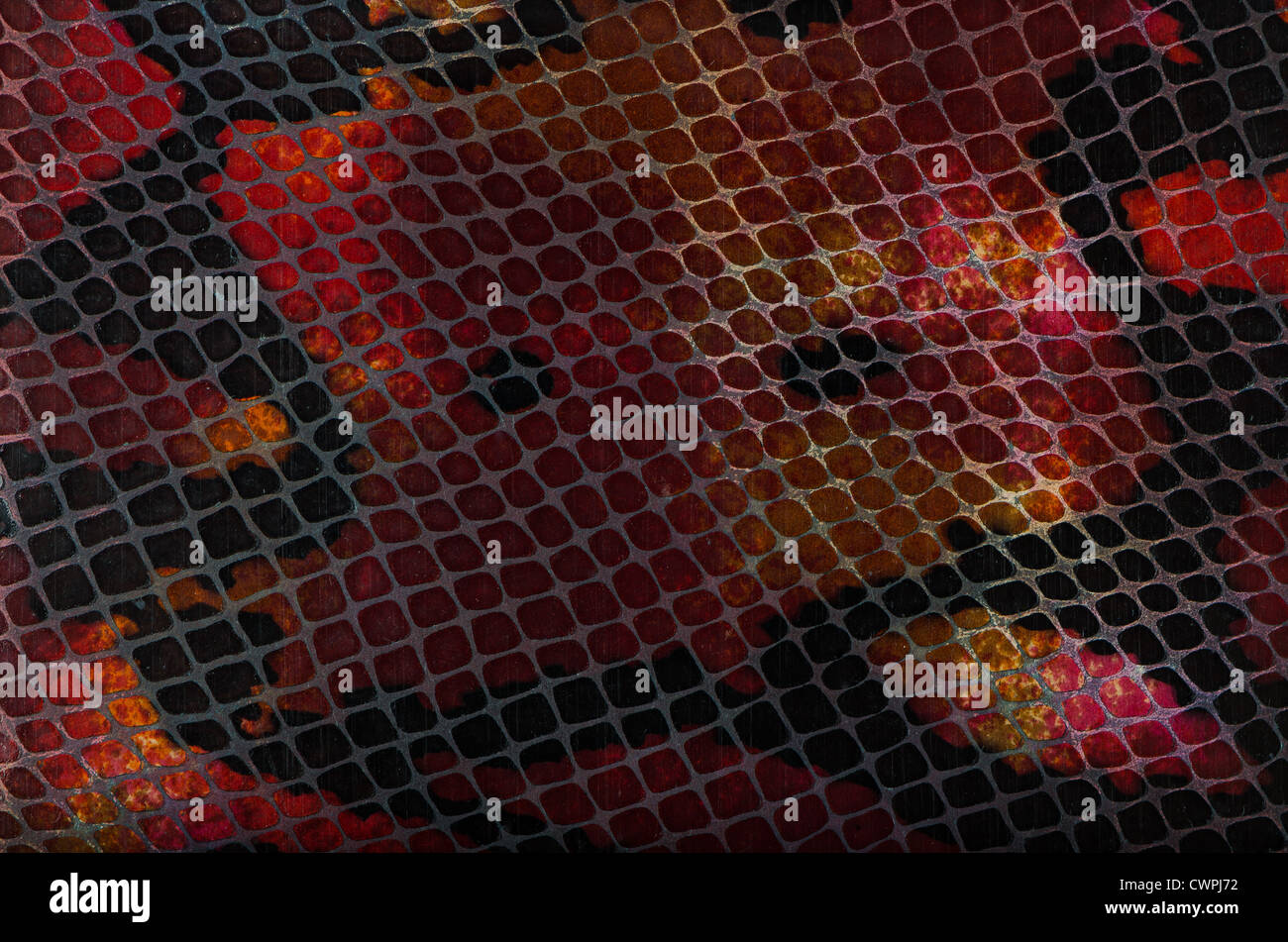 Closeup of snake Skin Leather Texture Stock Photo - Alamy