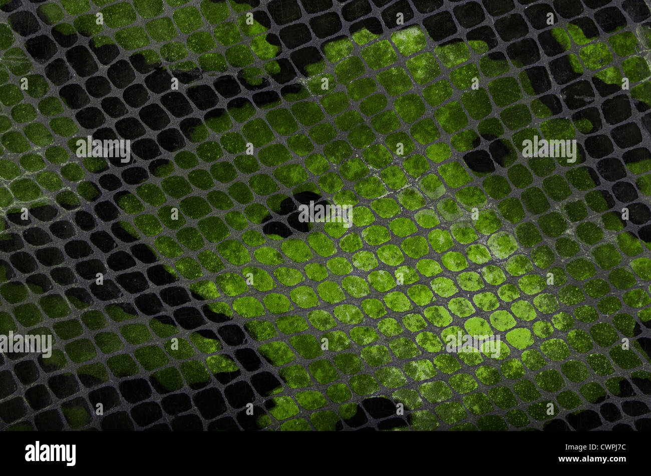 Closeup of snake Skin Leather Texture Stock Photo - Alamy