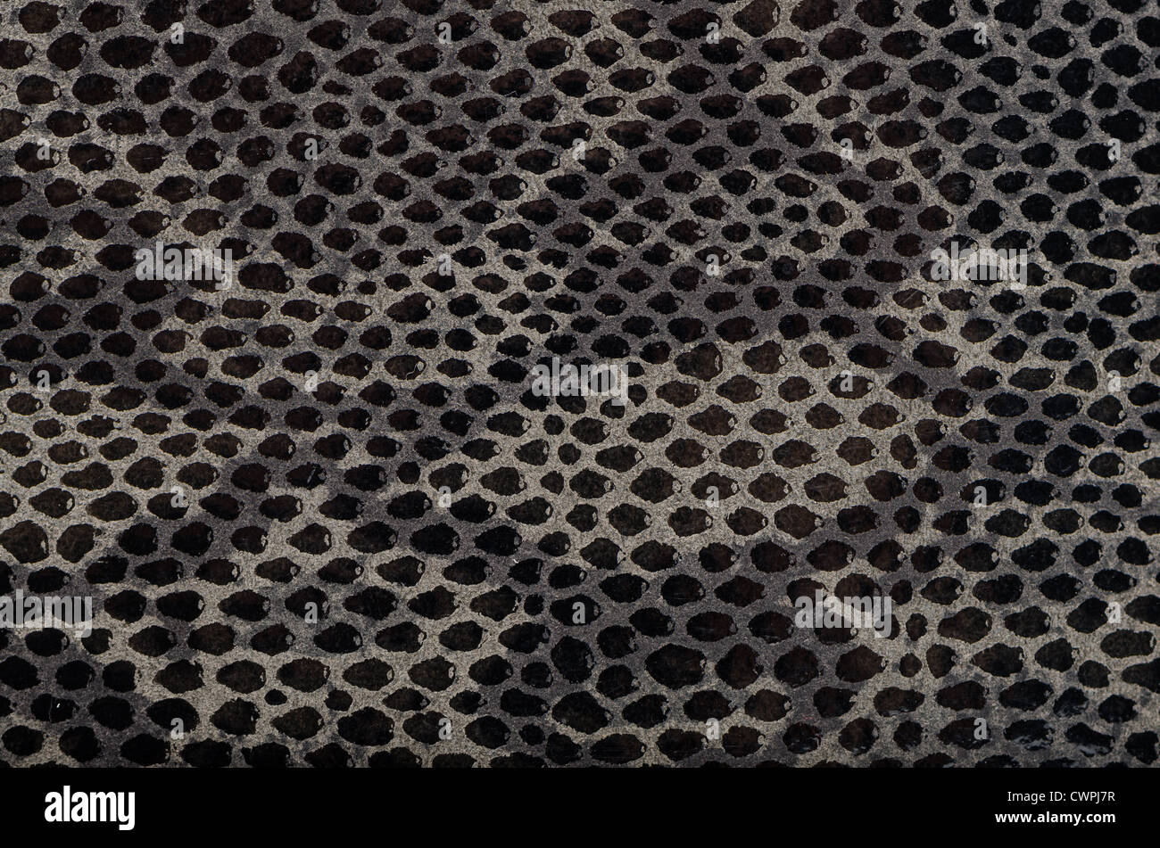 Closeup of snake Skin Leather Texture Stock Photo - Alamy