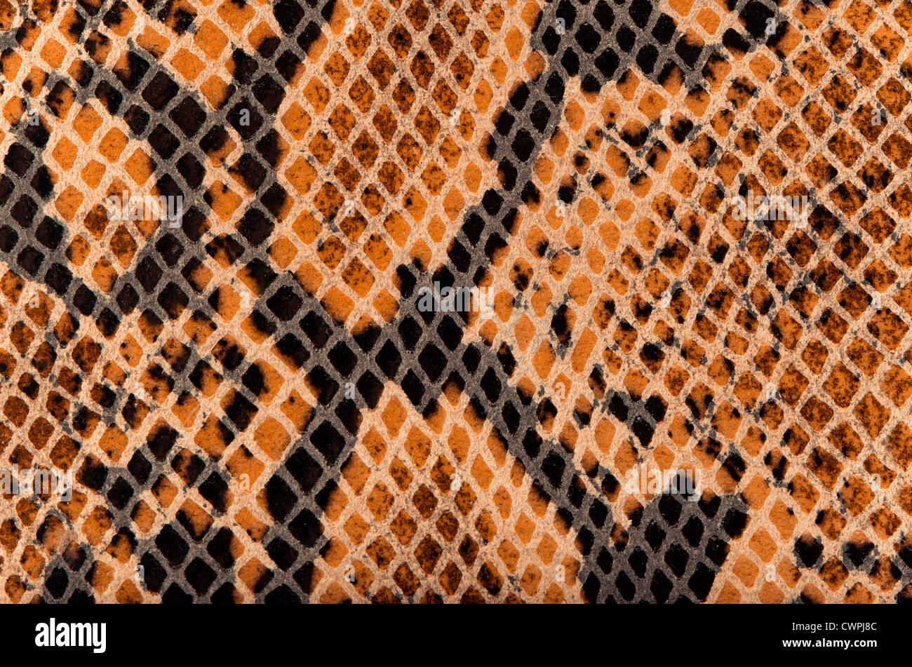 Closeup of snake Skin Leather Texture Stock Photo - Alamy