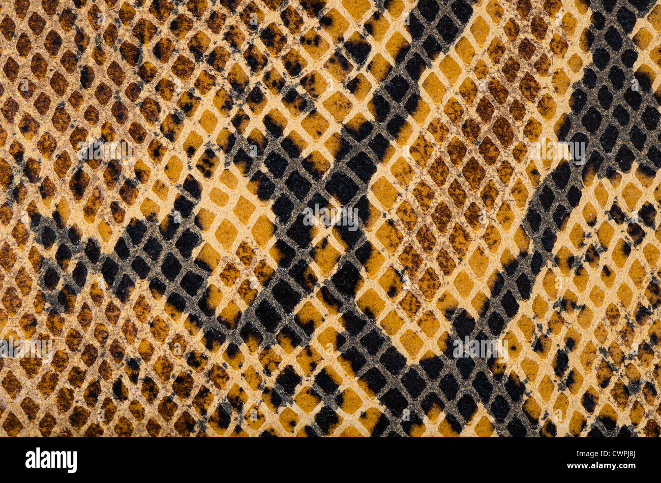 Closeup of snake Skin Leather Texture Stock Photo - Alamy