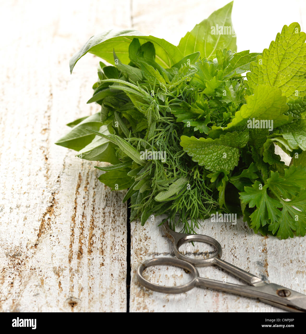 Fresh herbs bunch hi-res stock photography and images - Alamy