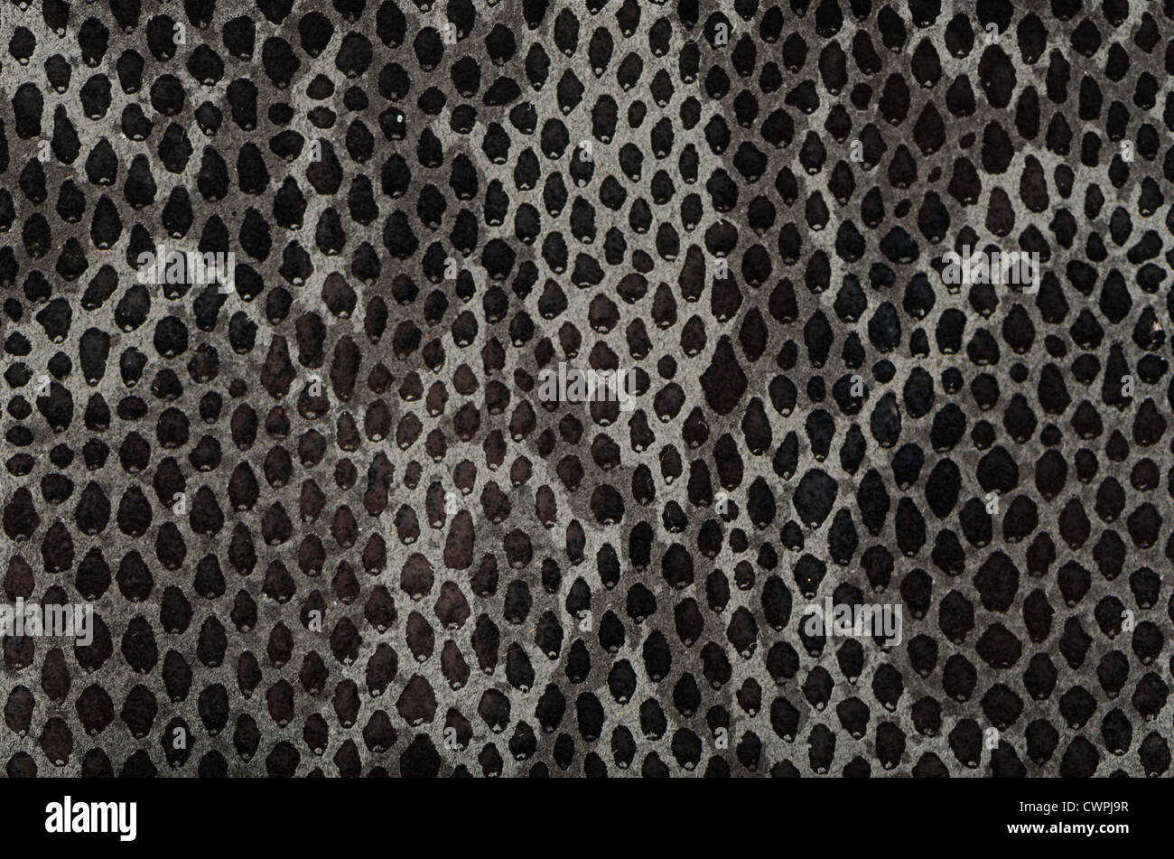 Closeup of snake Skin Leather Texture Stock Photo - Alamy