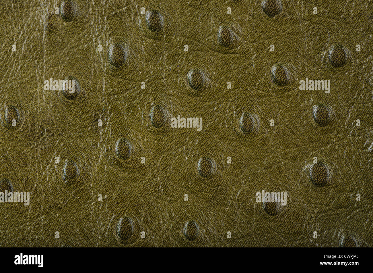 Closeup of leather texture background Stock Photo - Alamy