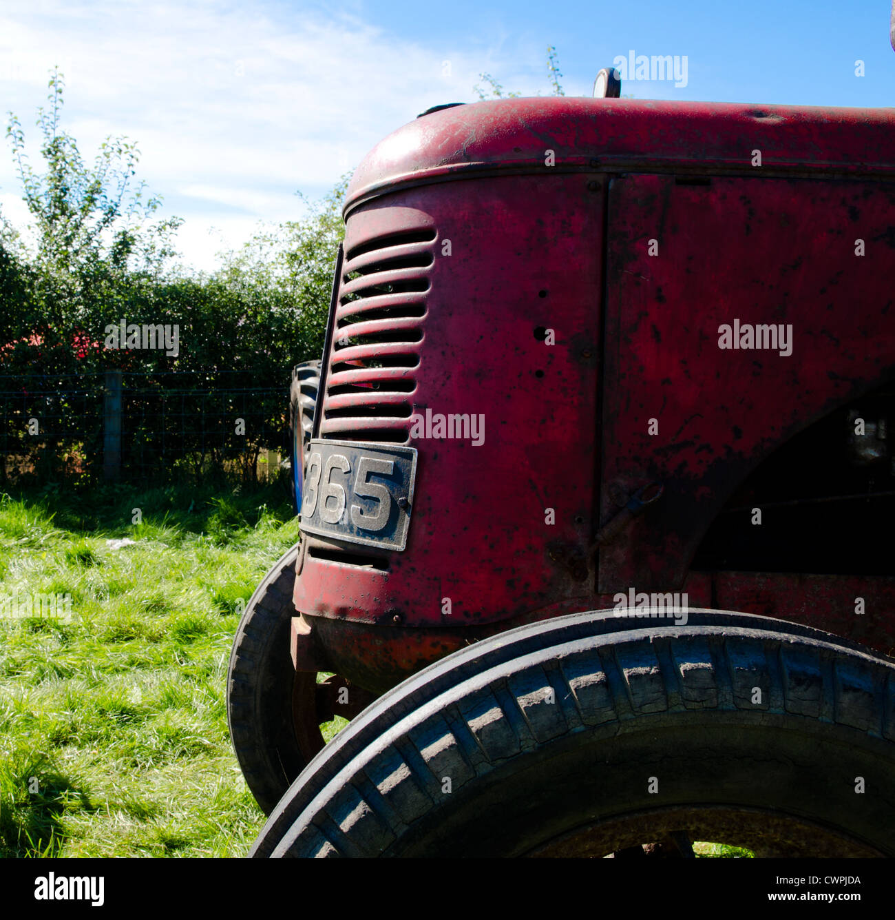 old vintage red tractor wolsingham agricultural show, county Durham ...
