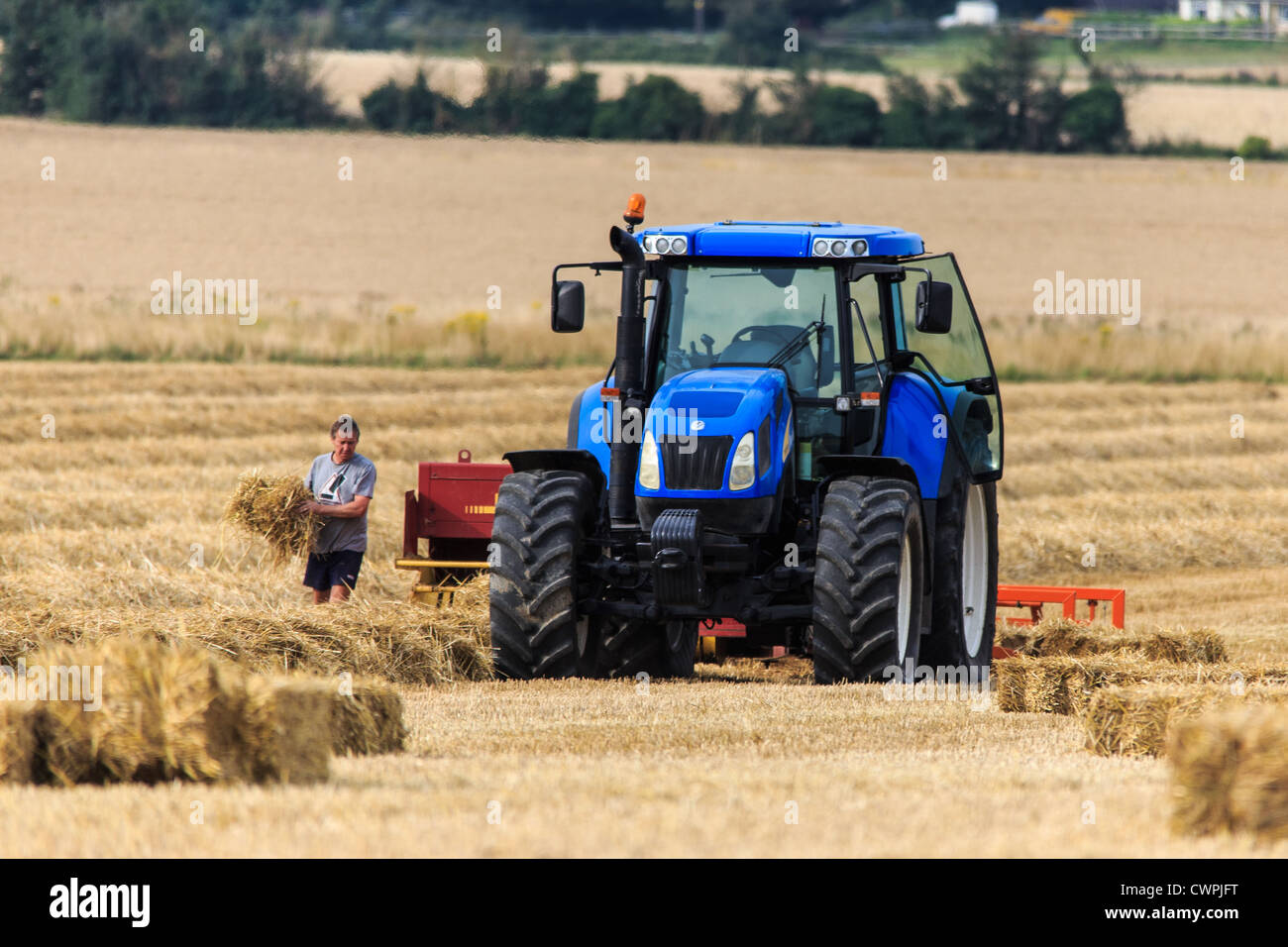 Essex farm life hi-res stock photography and images - Alamy