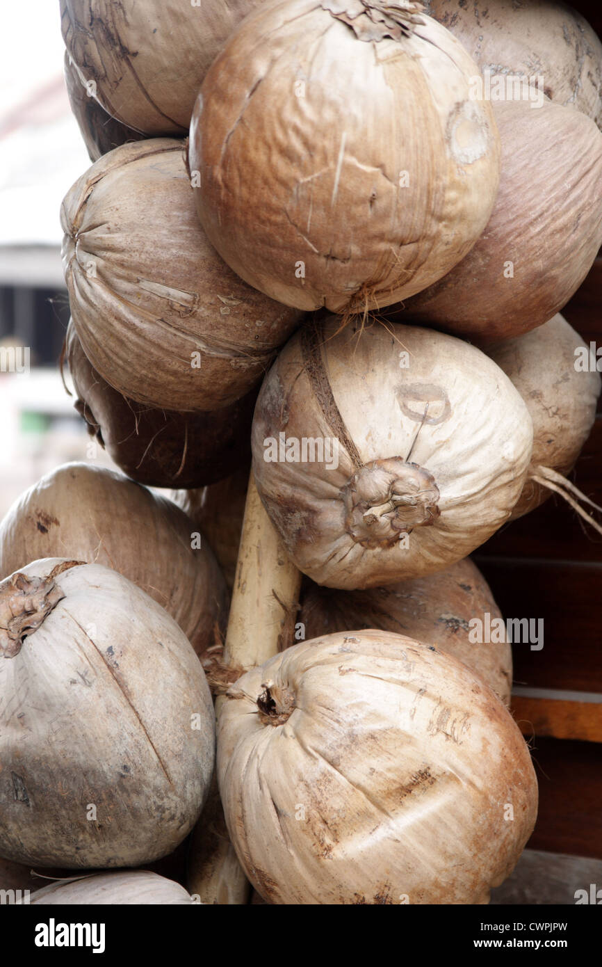 Brown coconuts hi-res stock photography and images - Alamy