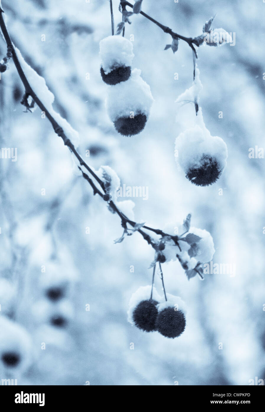 Monotone london hi-res stock photography and images - Alamy