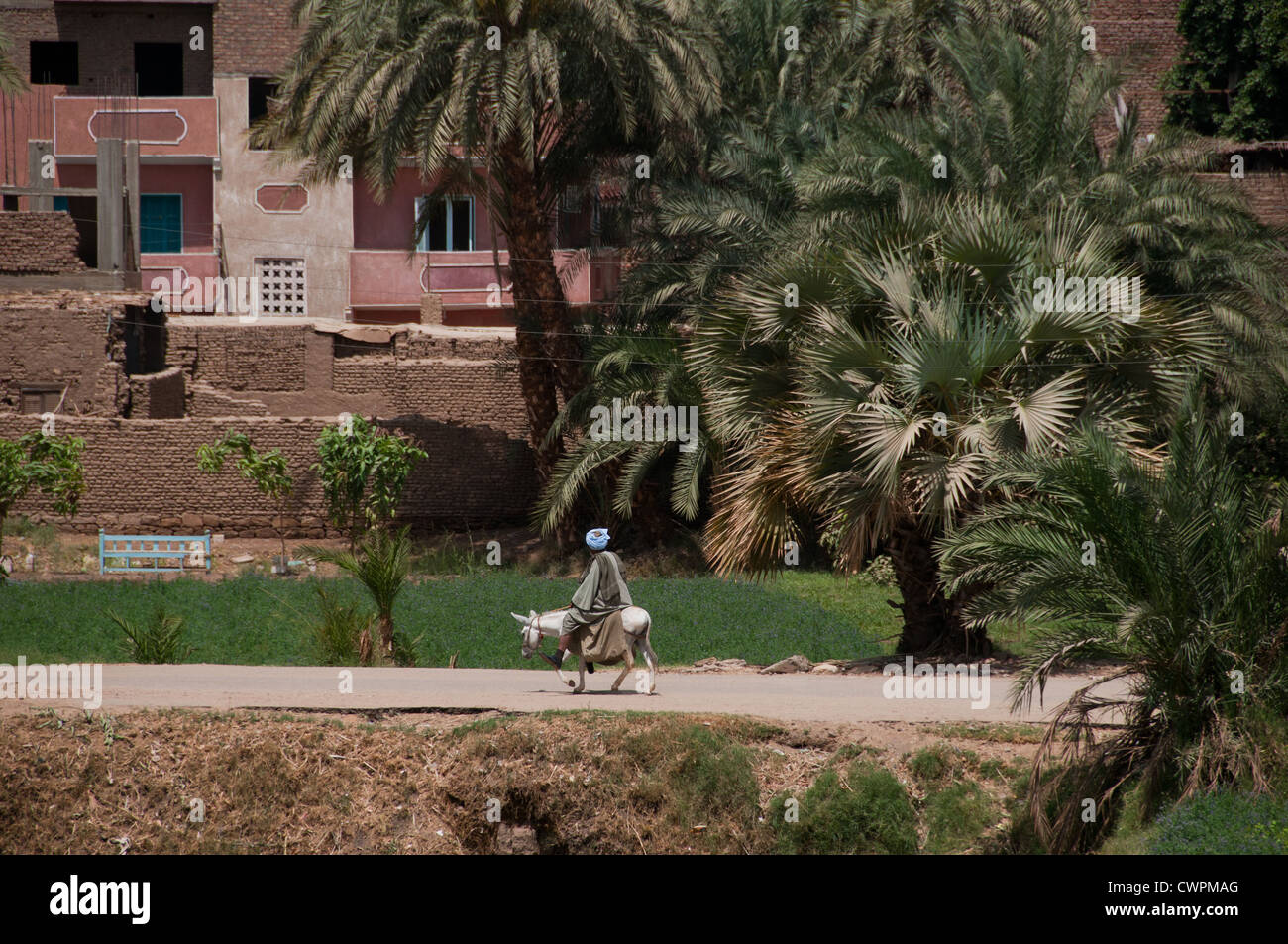 Egyptian countryside Egypt along the Nile river between Luxor and Aswan ...