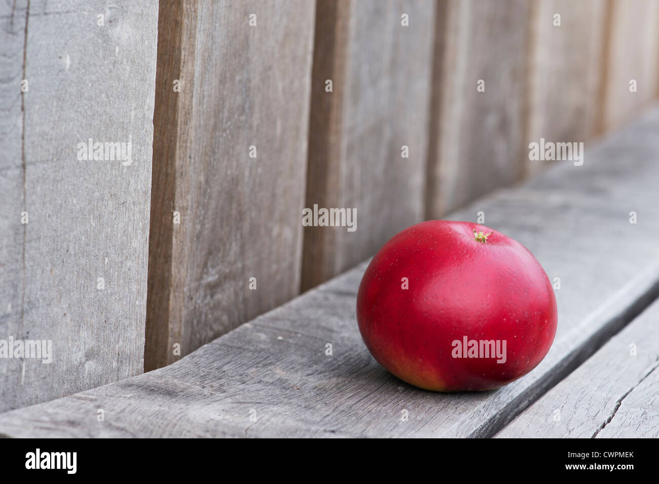 Malus domestica. Apple 'Red Devil' on a garden bench Stock Photo - Alamy