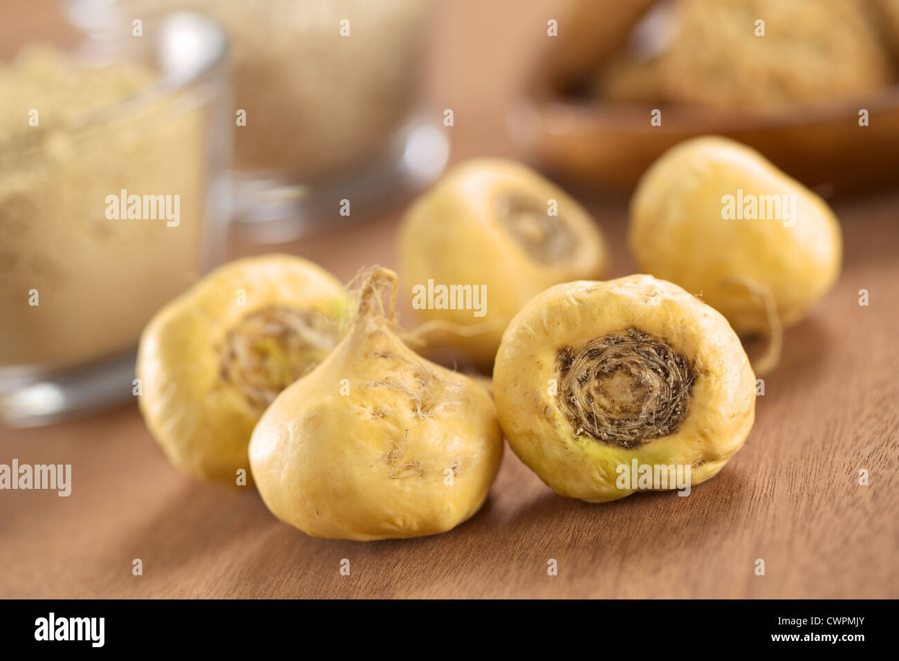 Fresh maca roots or Peruvian ginseng (lat. Lepidium meyenii) which are ...