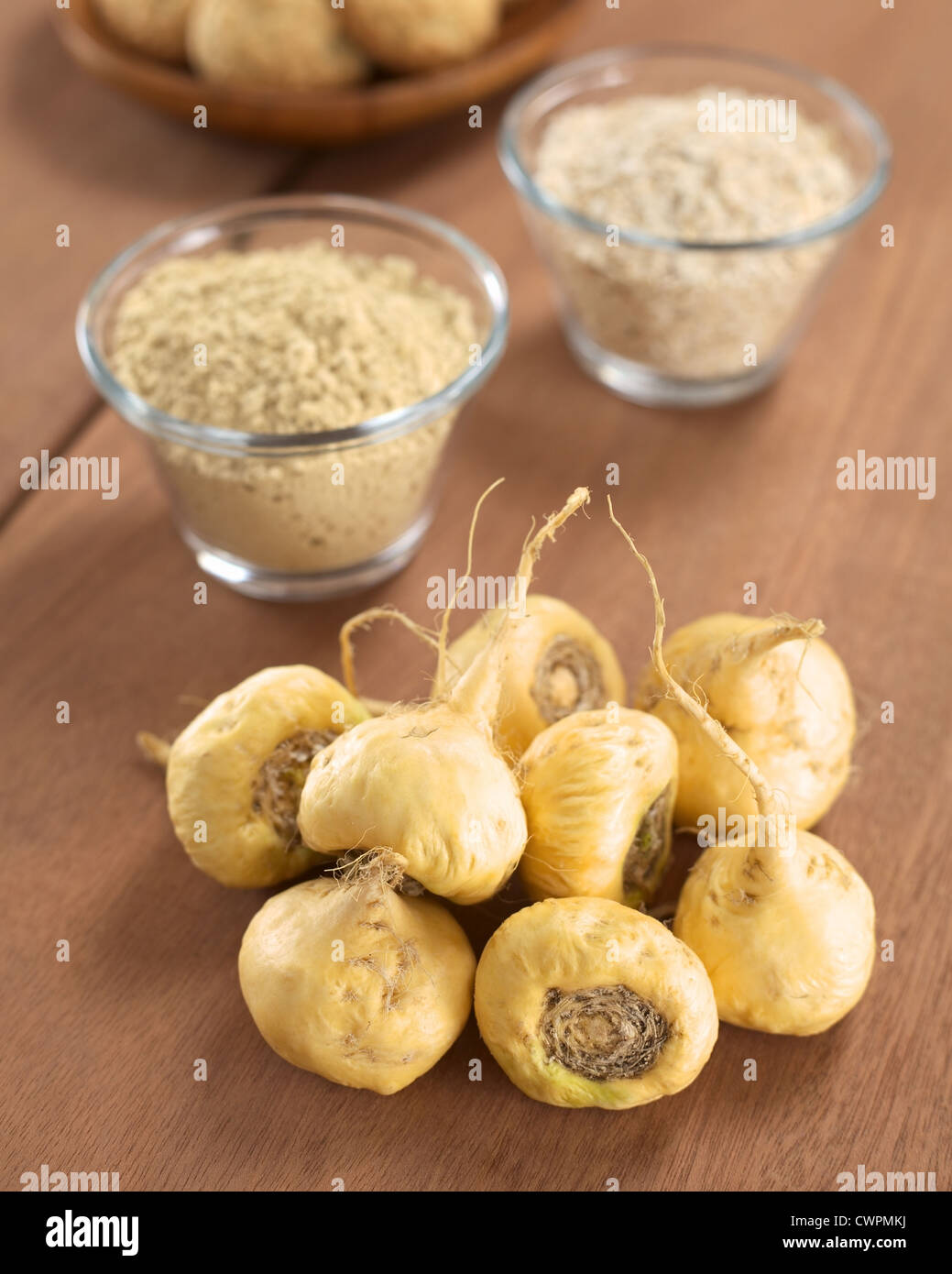 Fresh maca roots or Peruvian ginseng (lat. Lepidium meyenii) which are ...