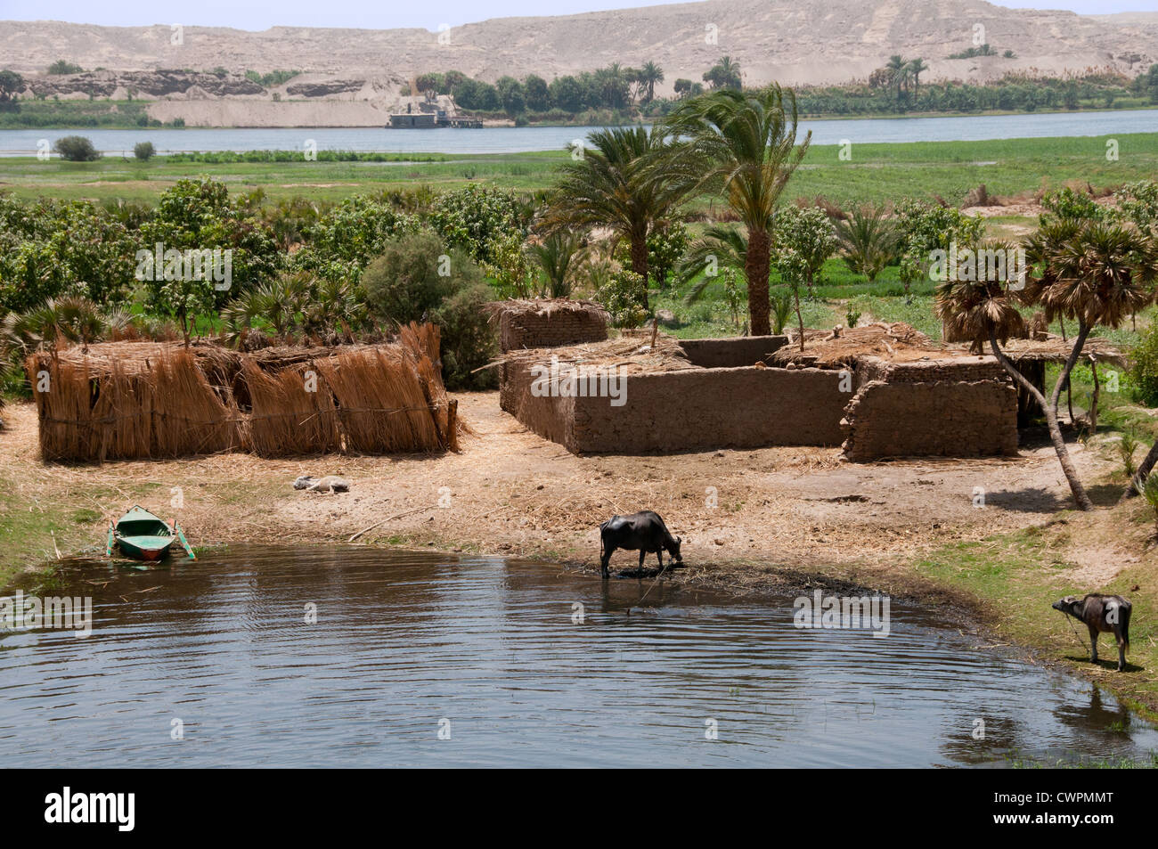 Ancient Egypt Nile River Farm Agriculture In Ancient Egypt , Facts