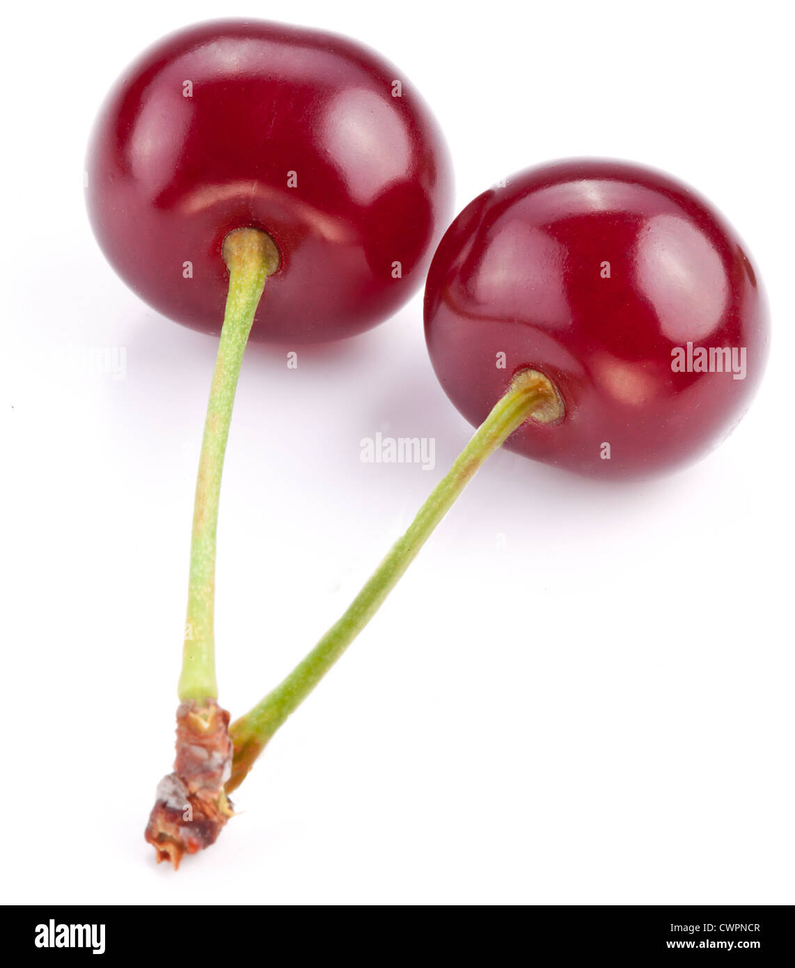 Two cherries on a white background Stock Photo - Alamy