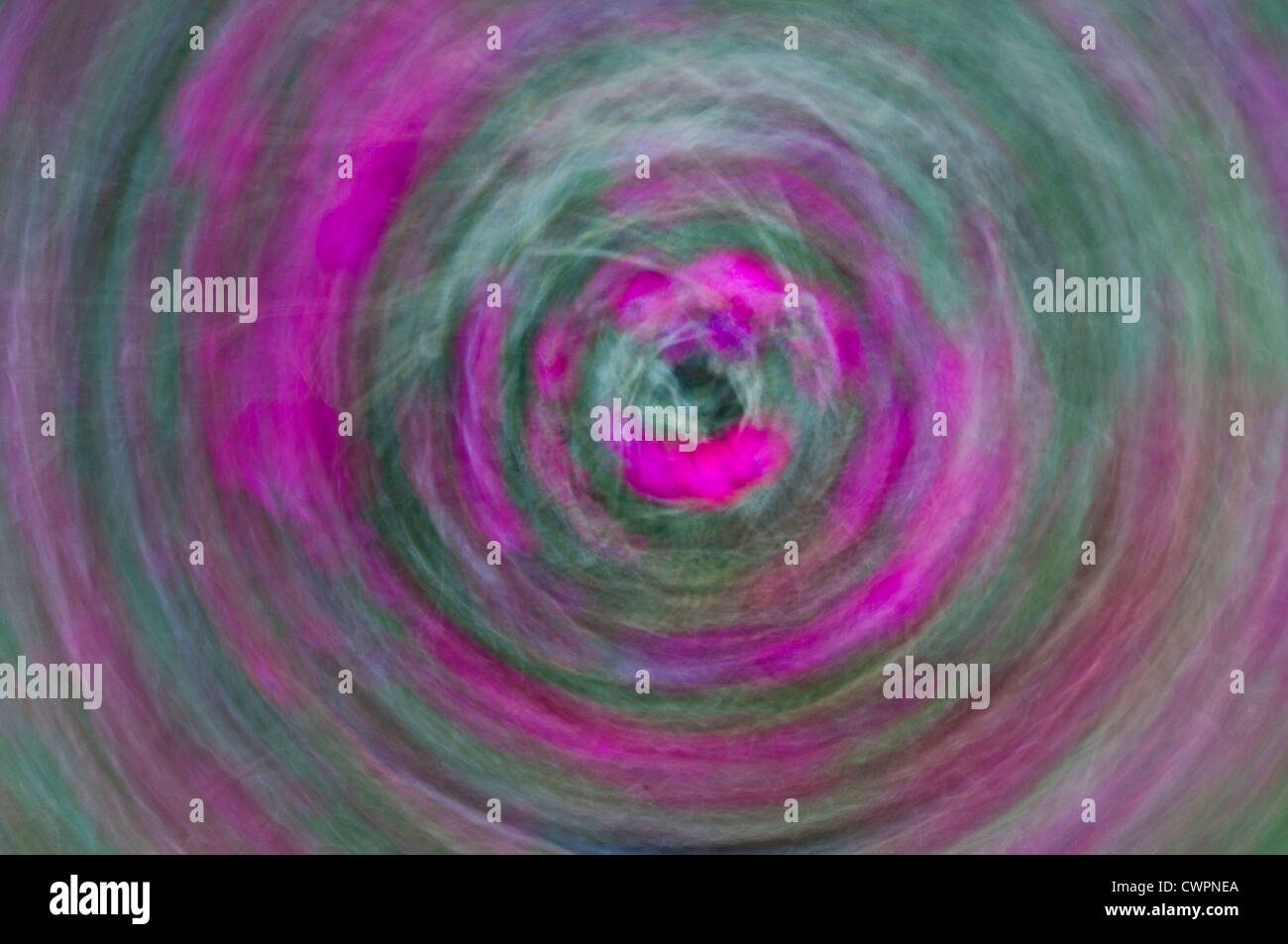 Spinning flower hi-res stock photography and images - Alamy