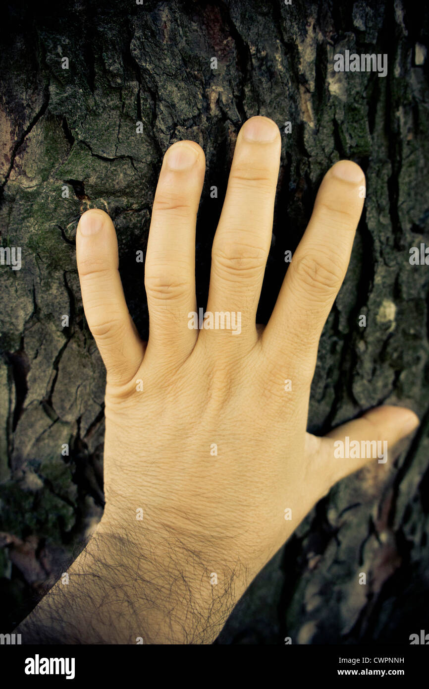Male hand touching a tree hi-res stock photography and images - Alamy