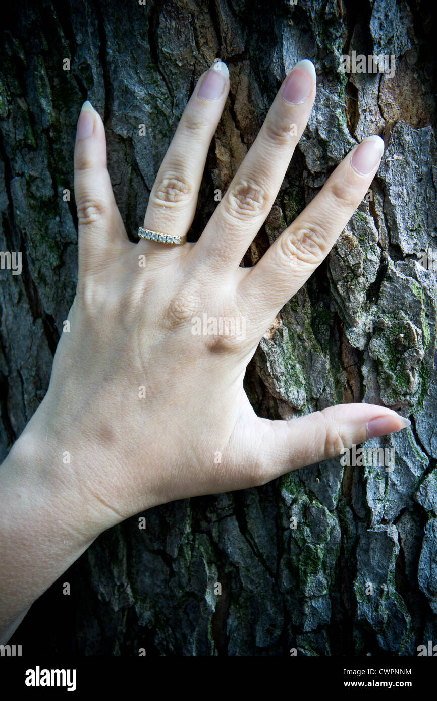 Hand tree trunk hi-res stock photography and images - Alamy