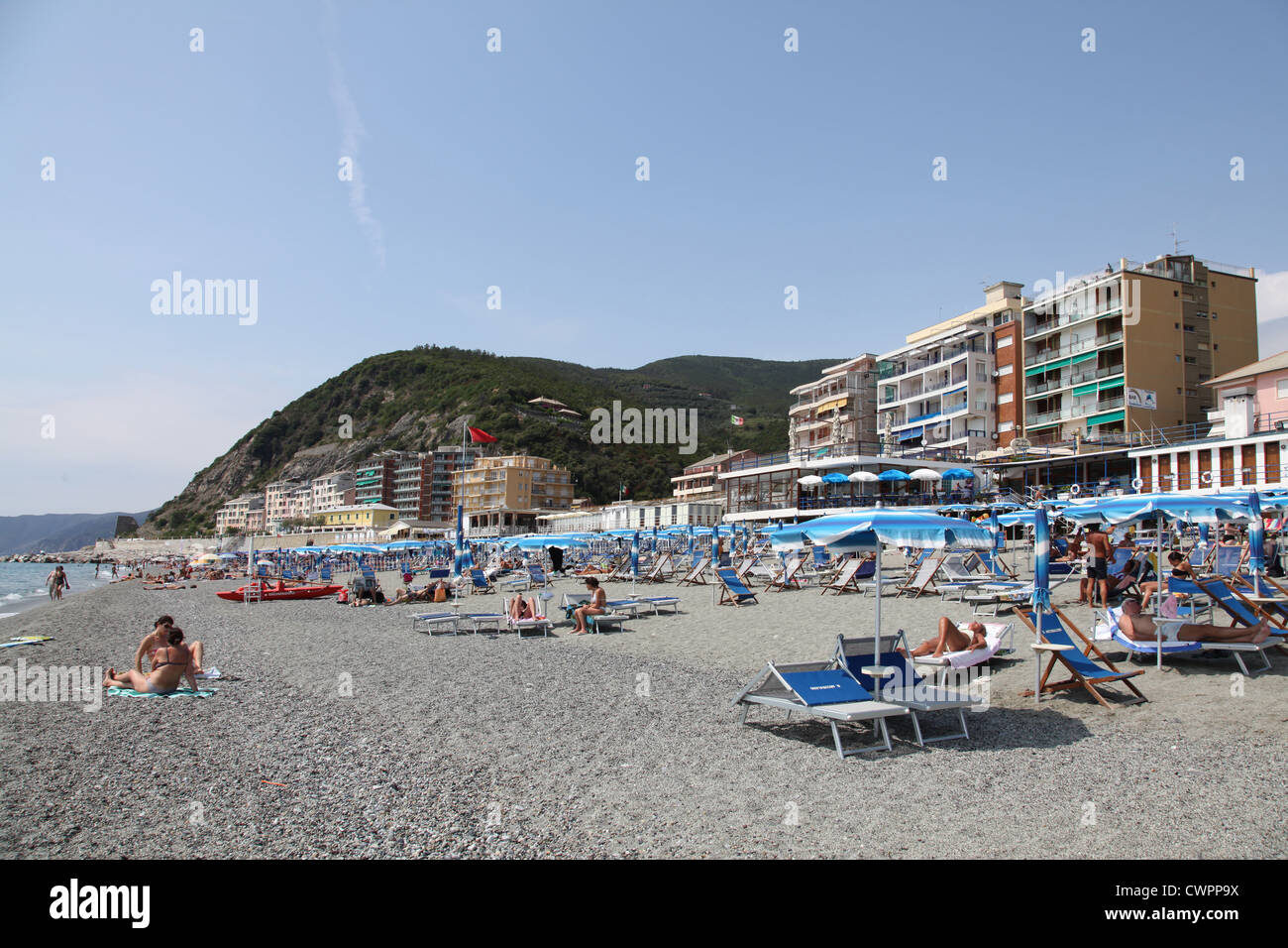 Deiva marina hi-res stock photography and images - Alamy