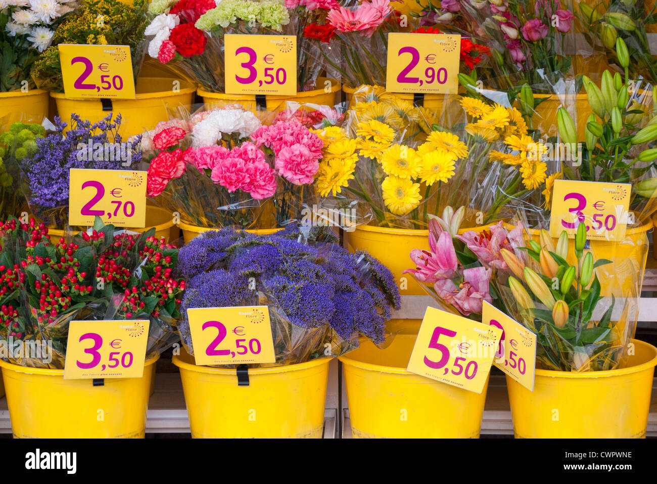 Florist display of fresh flowers Stock Photo - Alamy