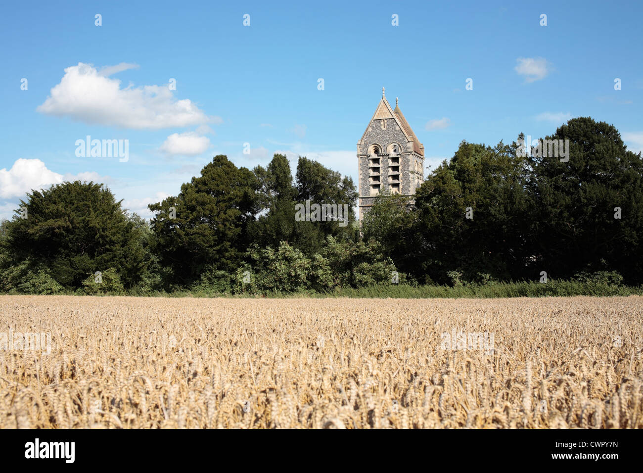 Church in a wheat field hi-res stock photography and images - Alamy