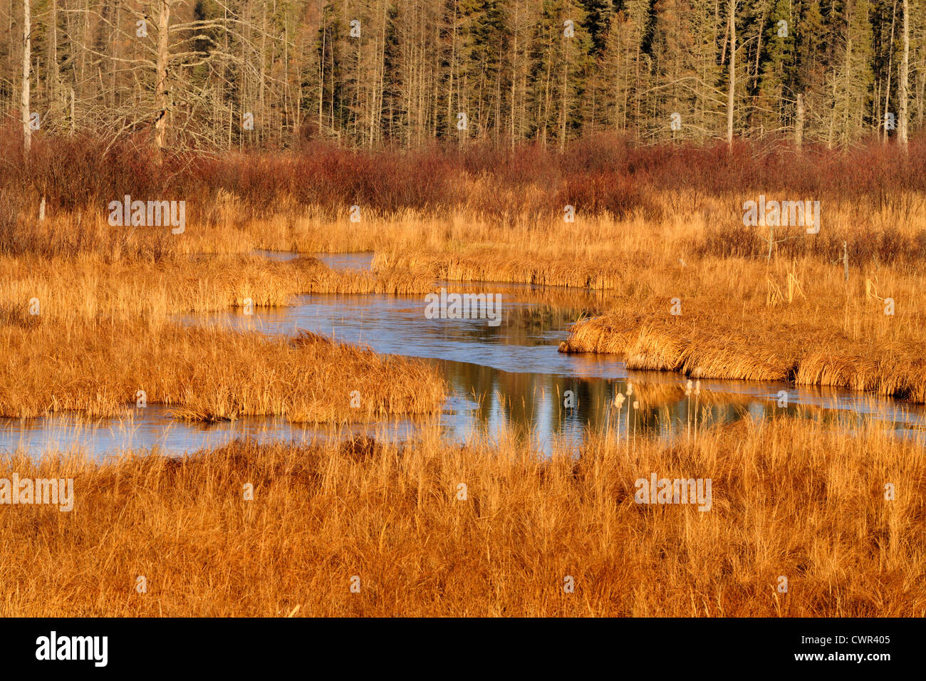 Wetland channels hi-res stock photography and images - Alamy