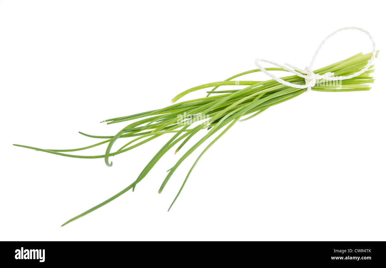 Chives isolated on white background Stock Photo - Alamy