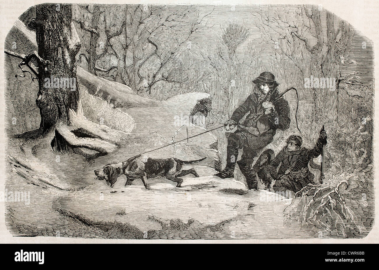 Hunters following wild boar's blood traces Stock Photo - Alamy