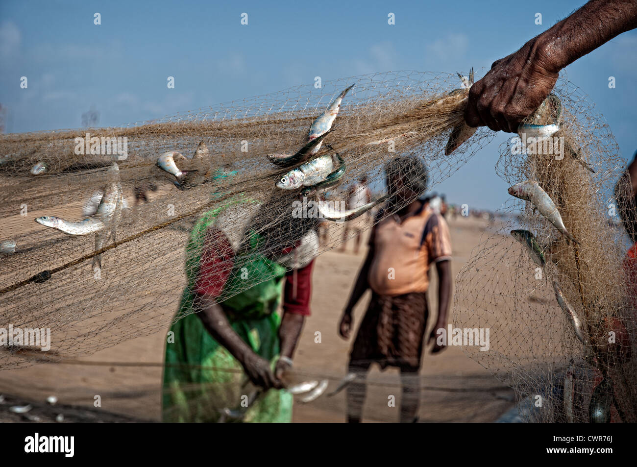Hand grabbing fish hi-res stock photography and images - Alamy