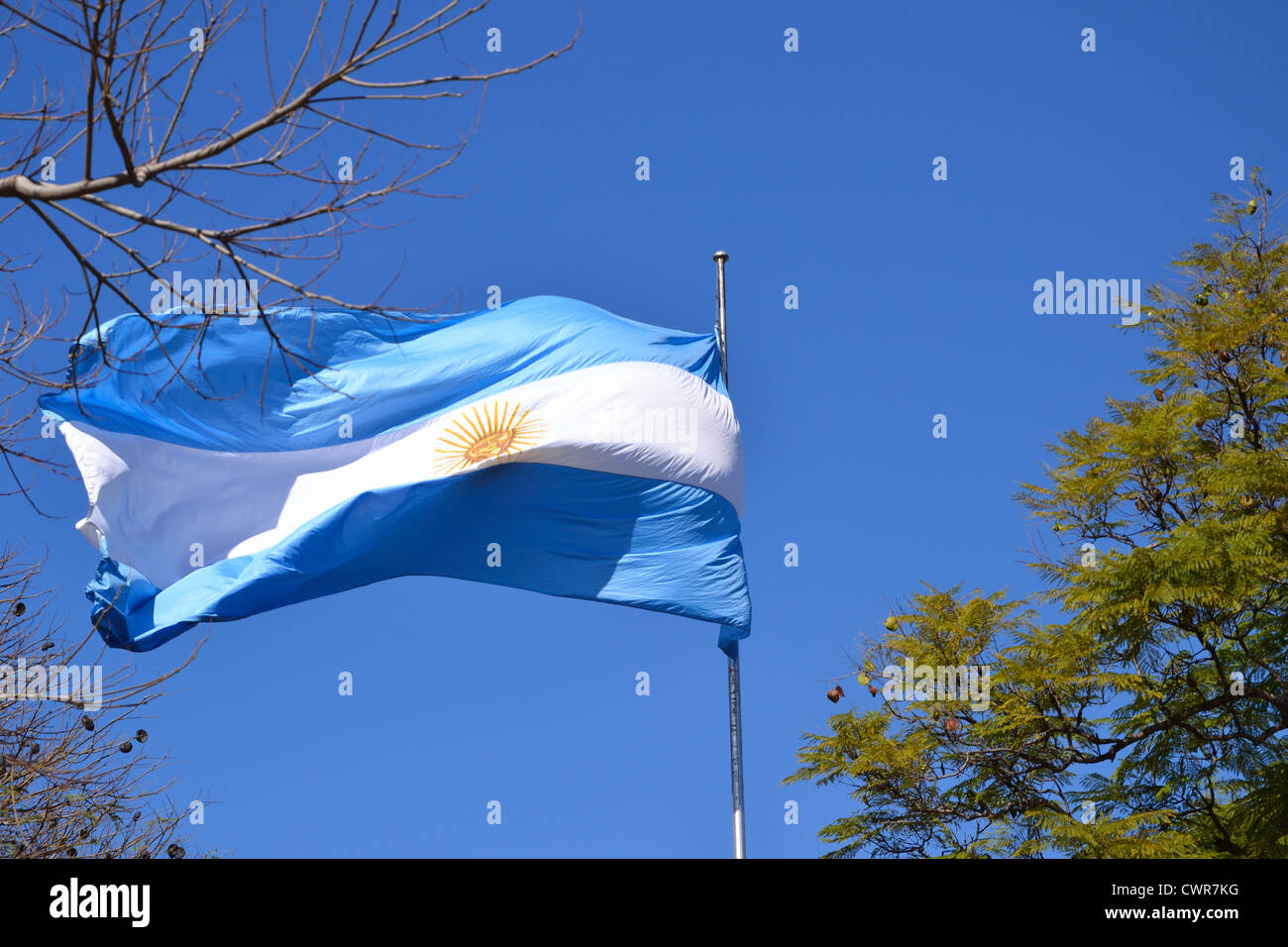 The flag of Argentina Stock Photo - Alamy