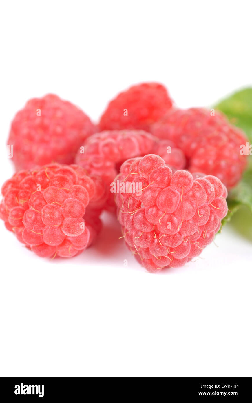 fresh raspberry closeup on a white background Stock Photo - Alamy
