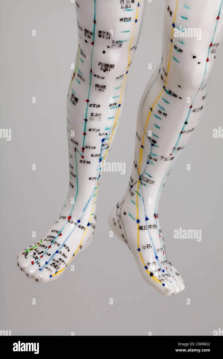 A female model with marked acupuncture points, Chinese characters on ...