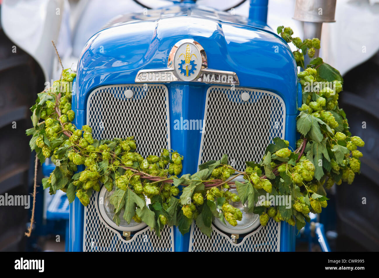 Vintage tractors at opening of Bromyard Hop Festival, Bromyard ...