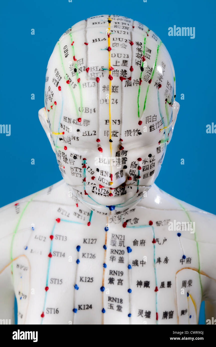 A female model with marked acupuncture points, Chinese characters on ...