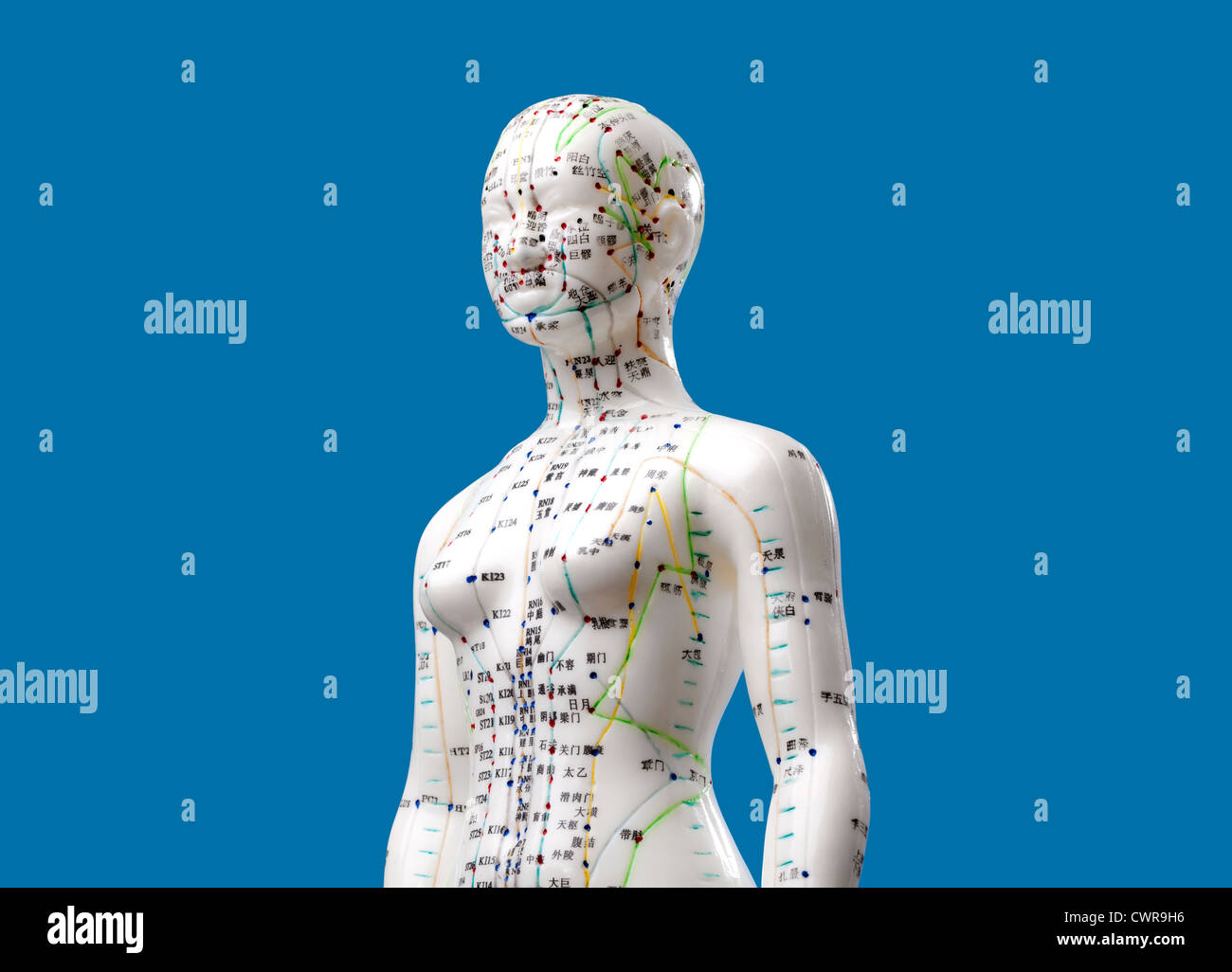 Acupuncture Points On Women