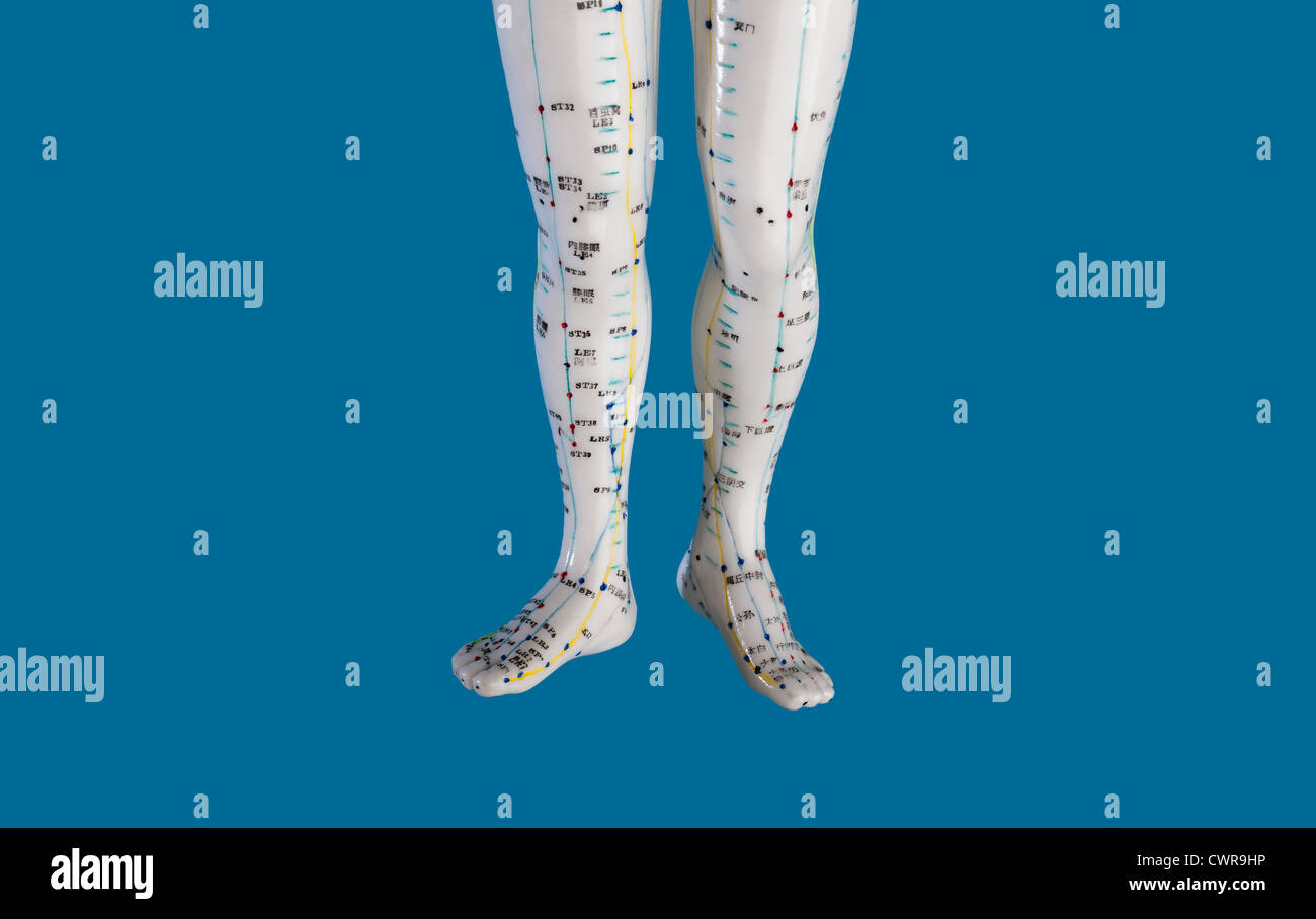 A female model with marked acupuncture points, Chinese characters on ...