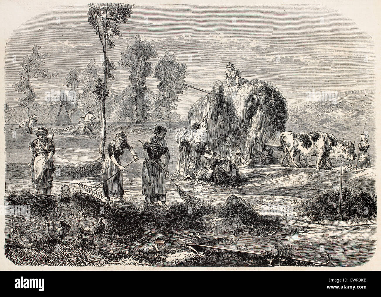 Haymaking hi-res stock photography and images - Alamy