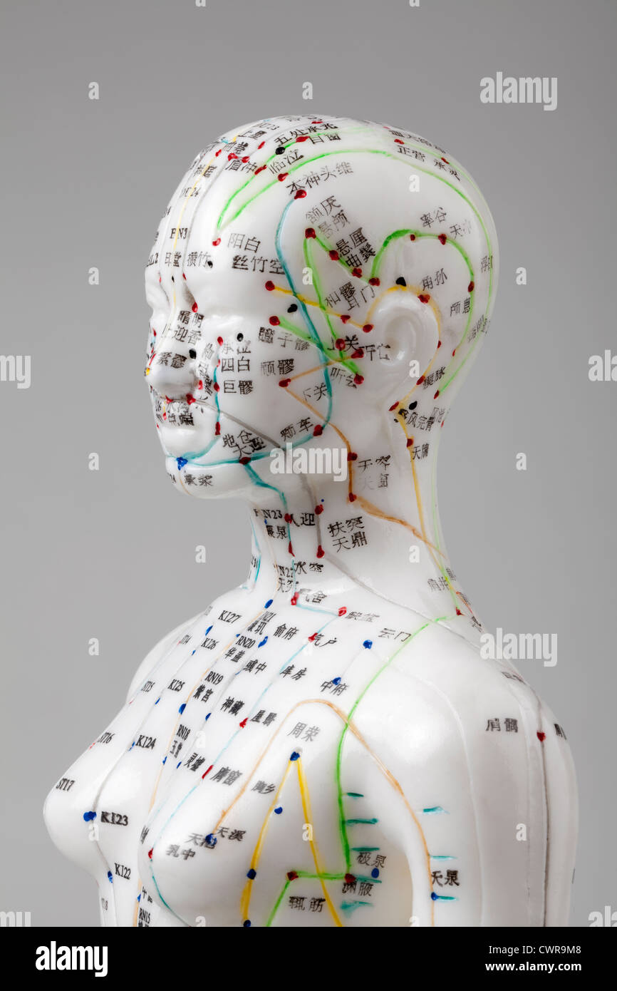 A female model with marked acupuncture points, Chinese characters on ...