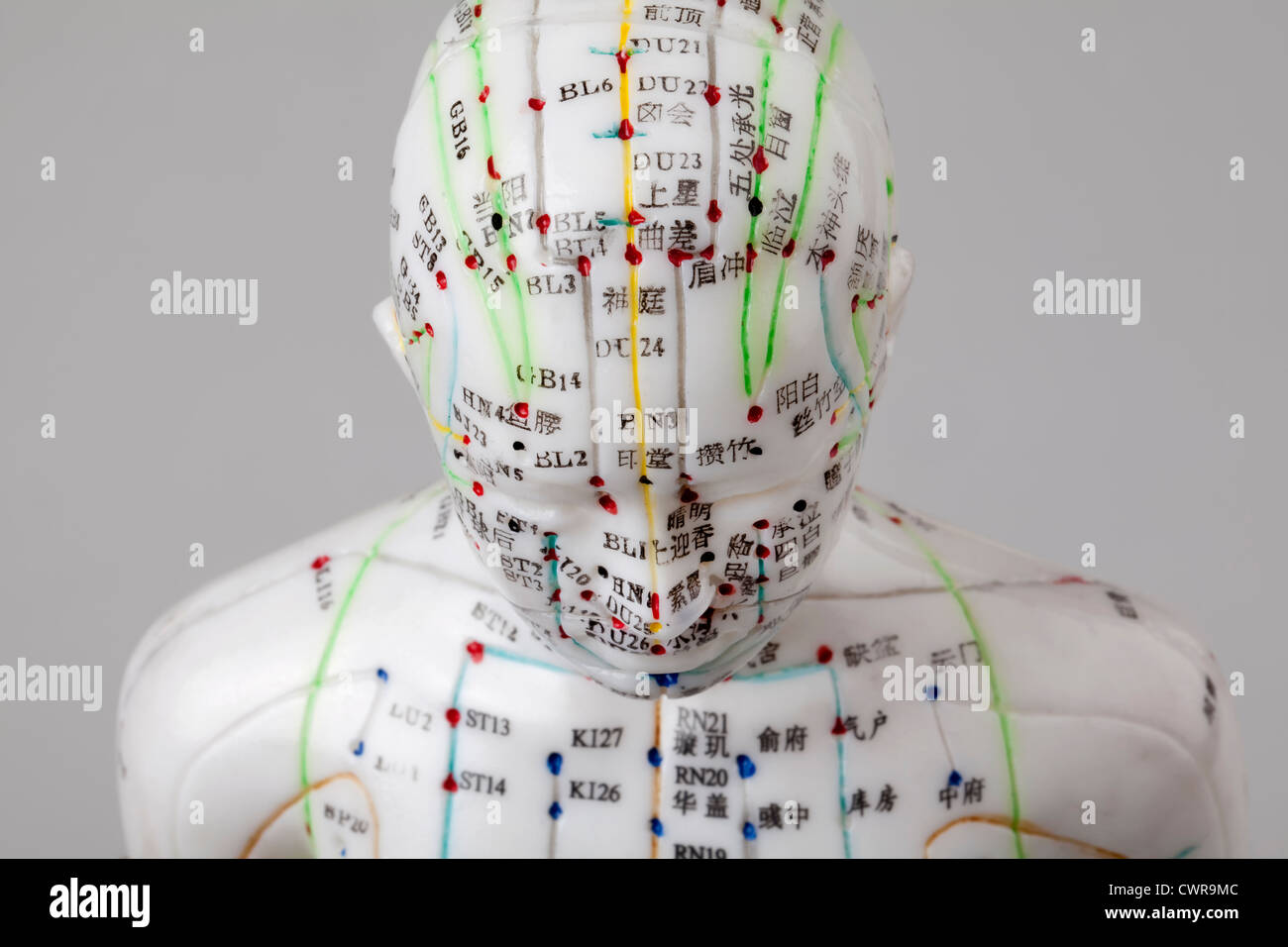 A female model with marked acupuncture points, Chinese characters on ...