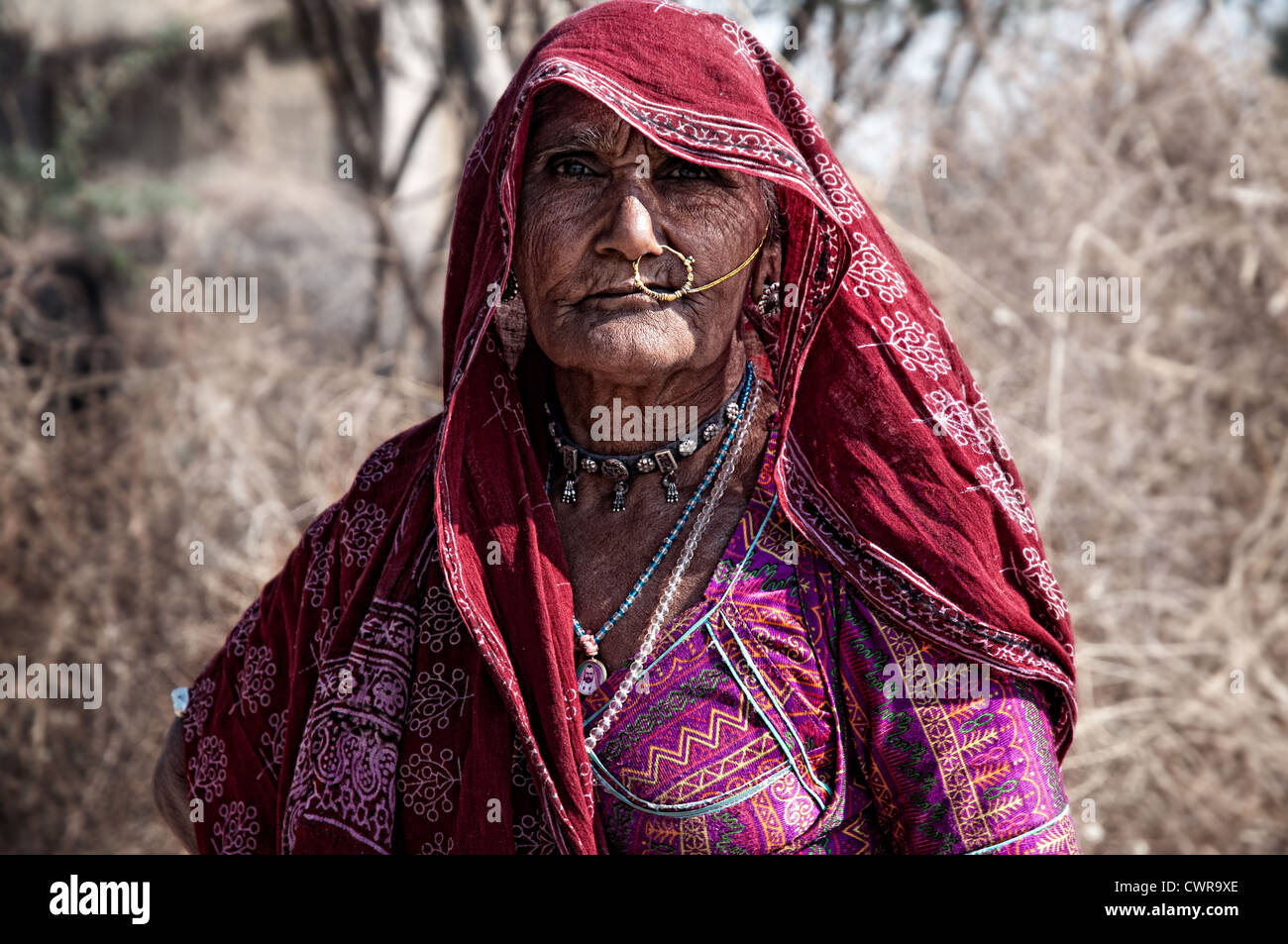 Portrait of a bishnois tribal woman in a small village around Jodhpur ...