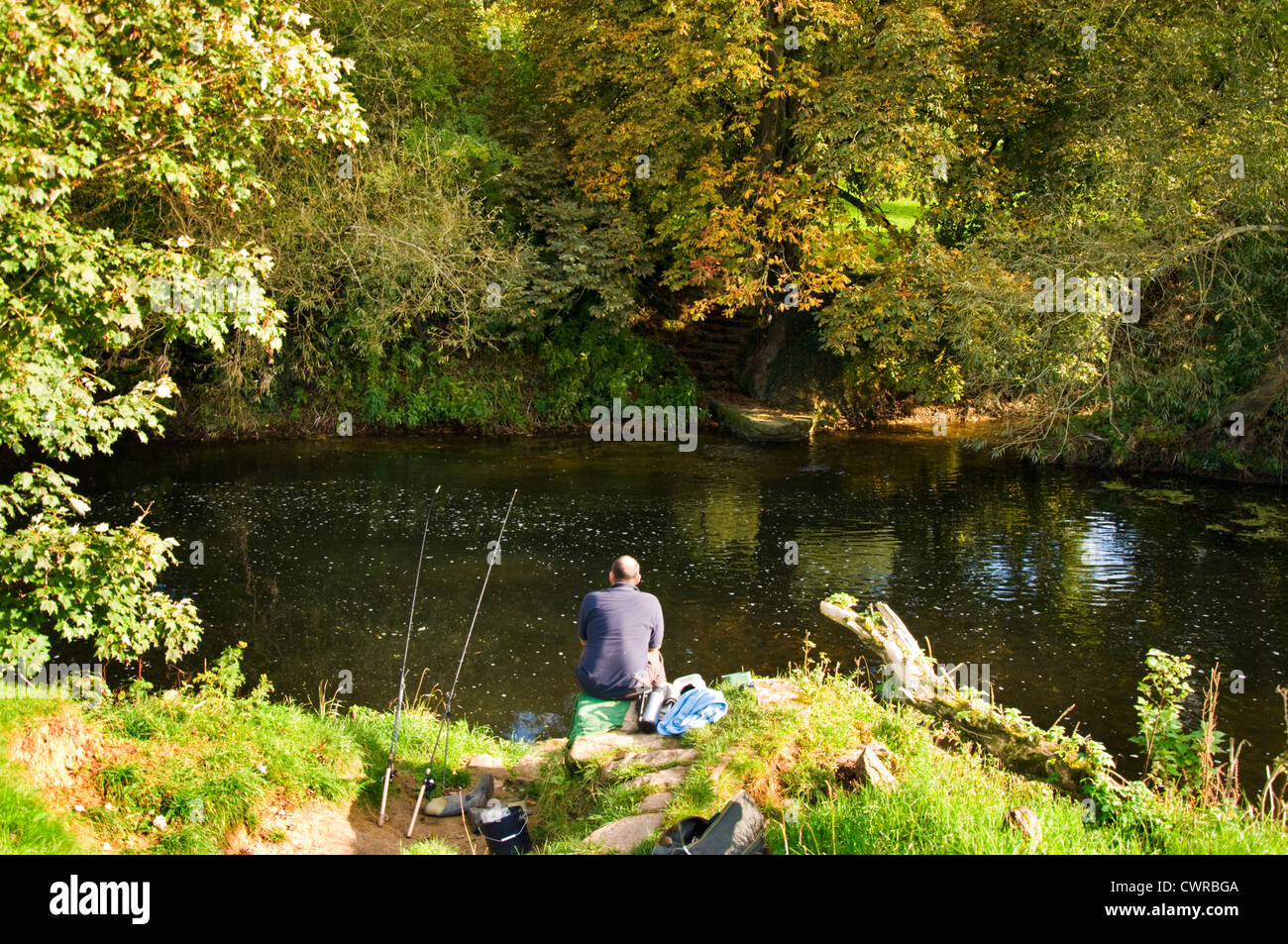 Man fishing on River Avon at Claverton Stock Photo - Alamy